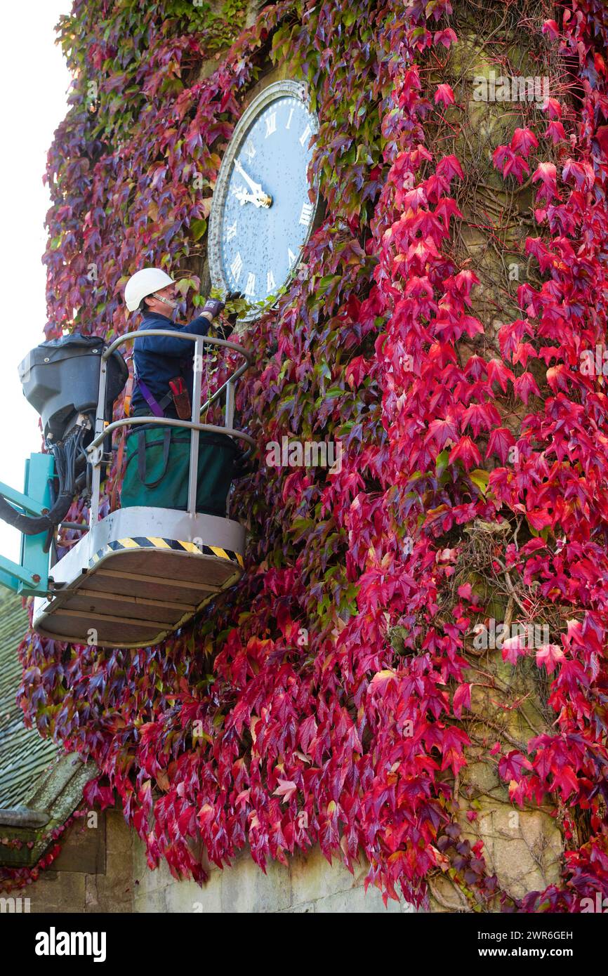 02/010/19 ***With Video*** Time for a trim - estate worker, Aiden ...
