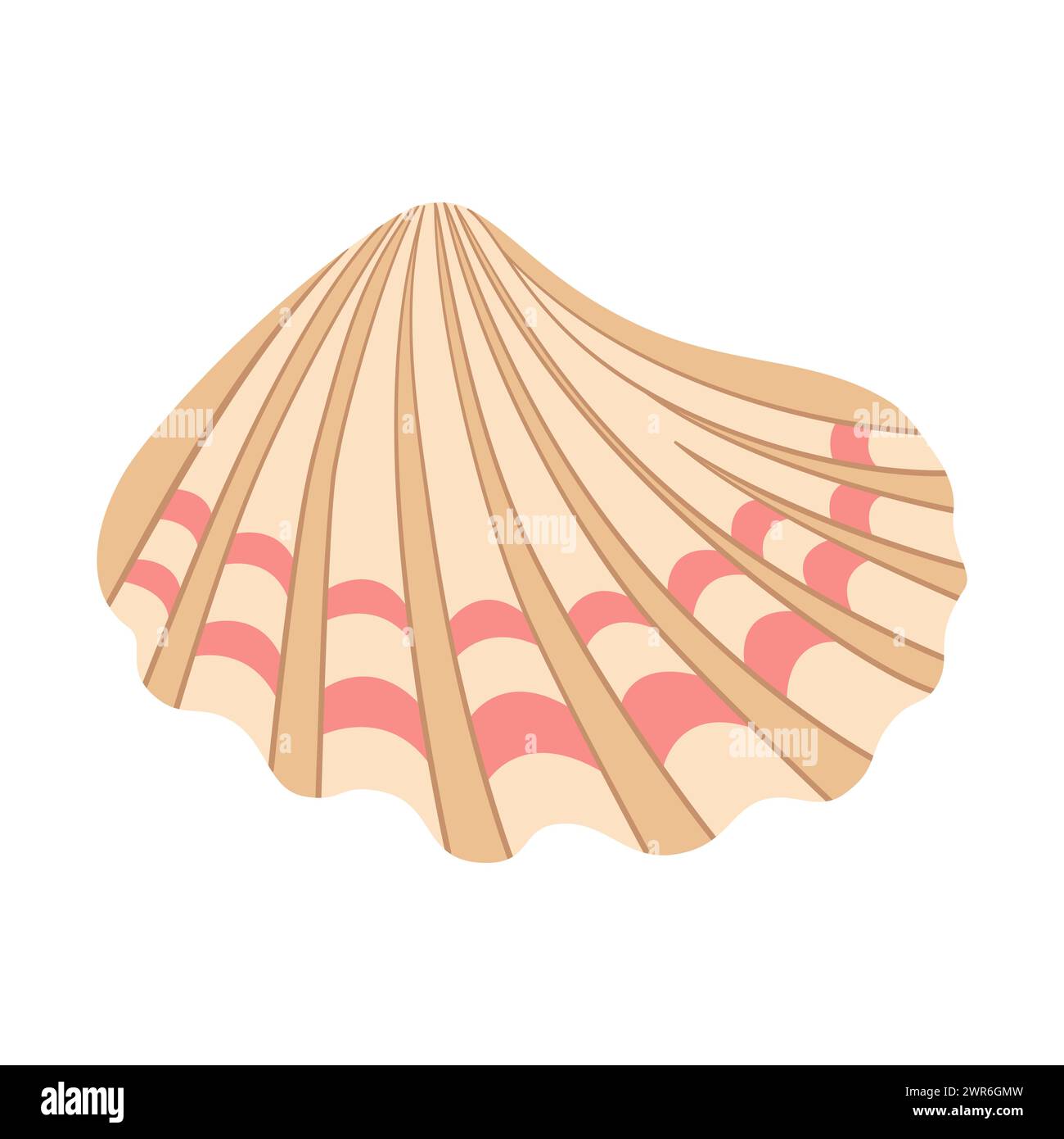Hand drawn Scallop Seashell. Cartoon style flat illustration seashell ...