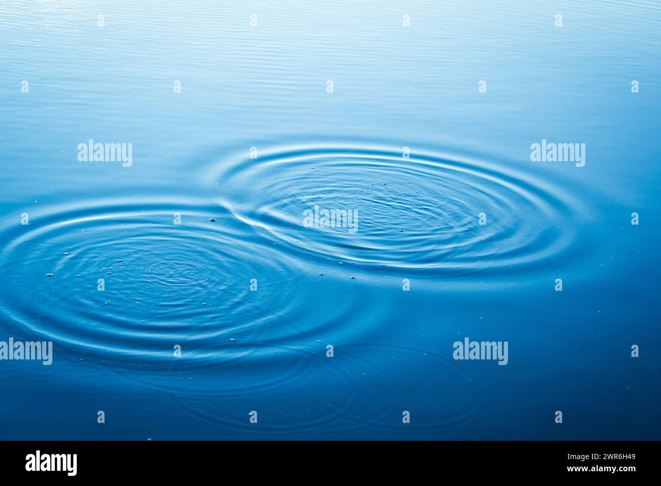Round droplets of water over circles on the lake. Water drop, whirl and ...
