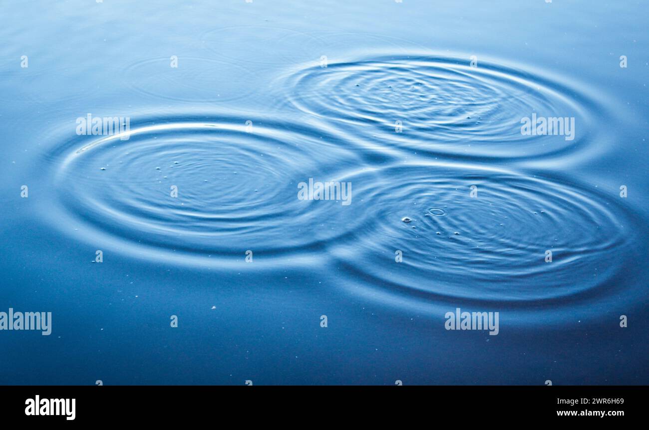 Round droplets of water over circles on the lake. Water drop, whirl and ...