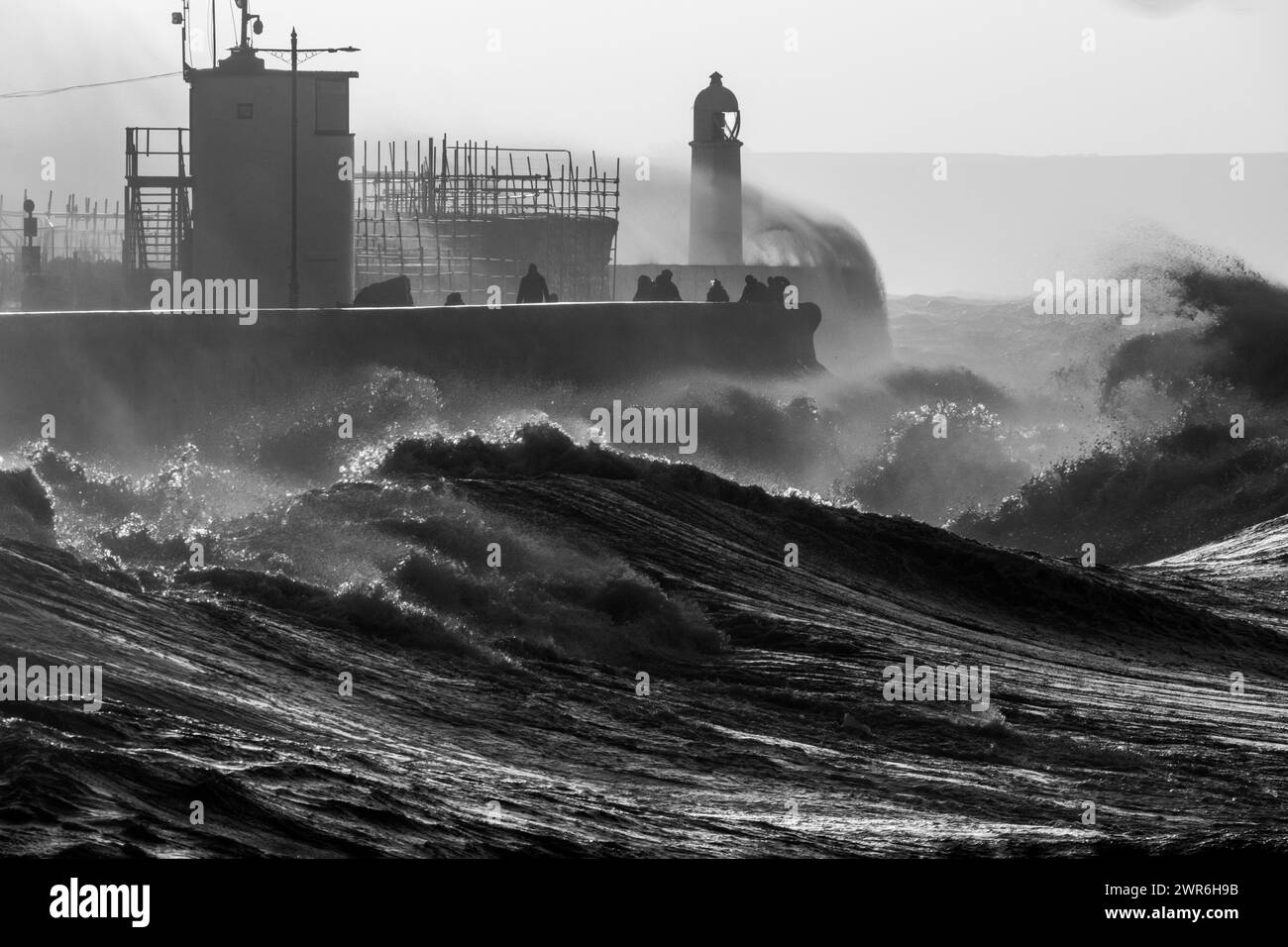 Brave Black and White Stock Photos & Images - Alamy