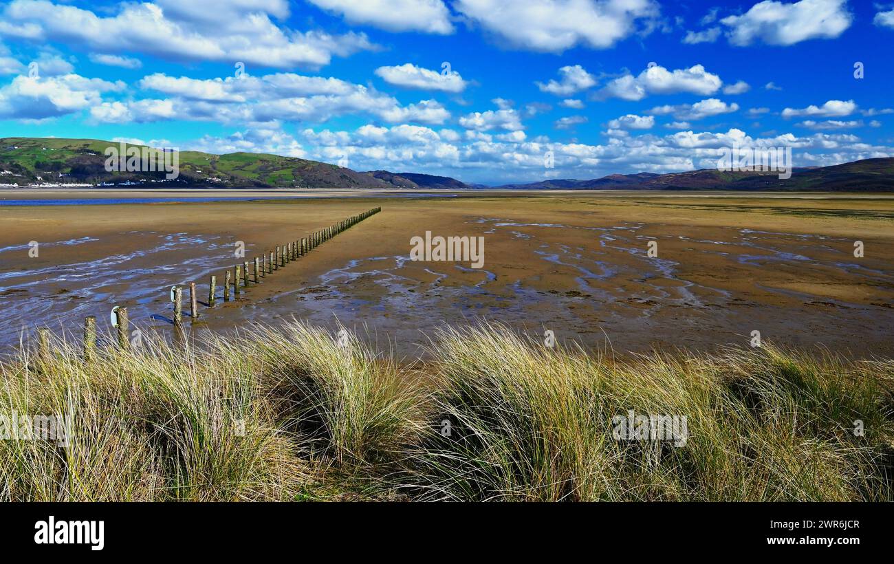 Spring on the Dyfi Estuary, Ceredigion Wales UK with blue sky and ...