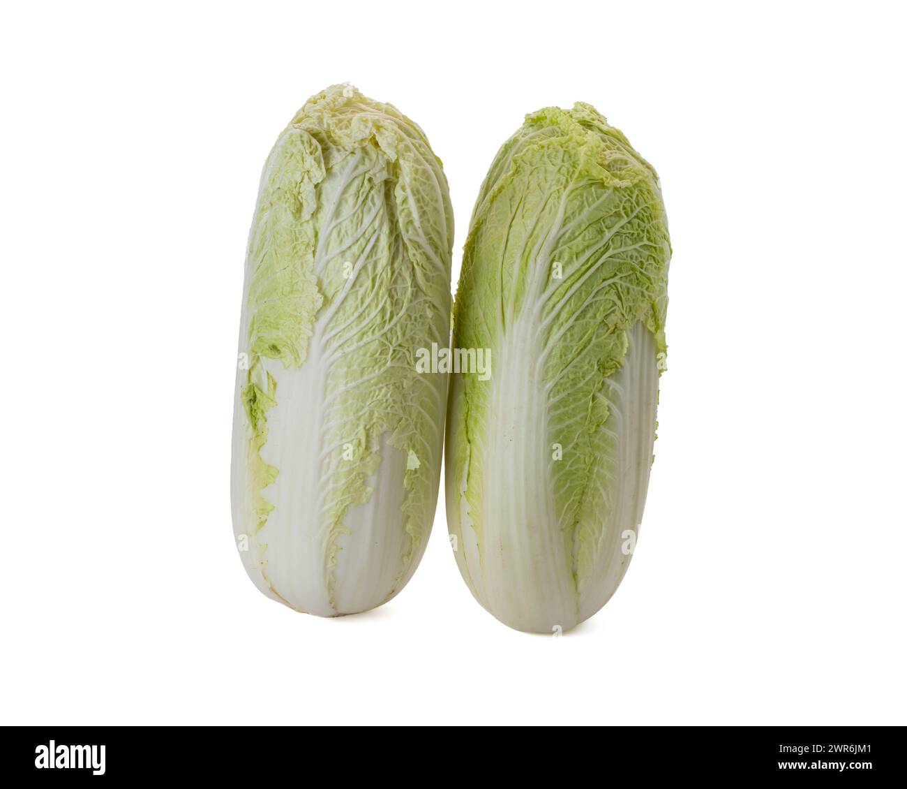 Fresh whole chinese cabbage isolated on a white background Stock Photo ...