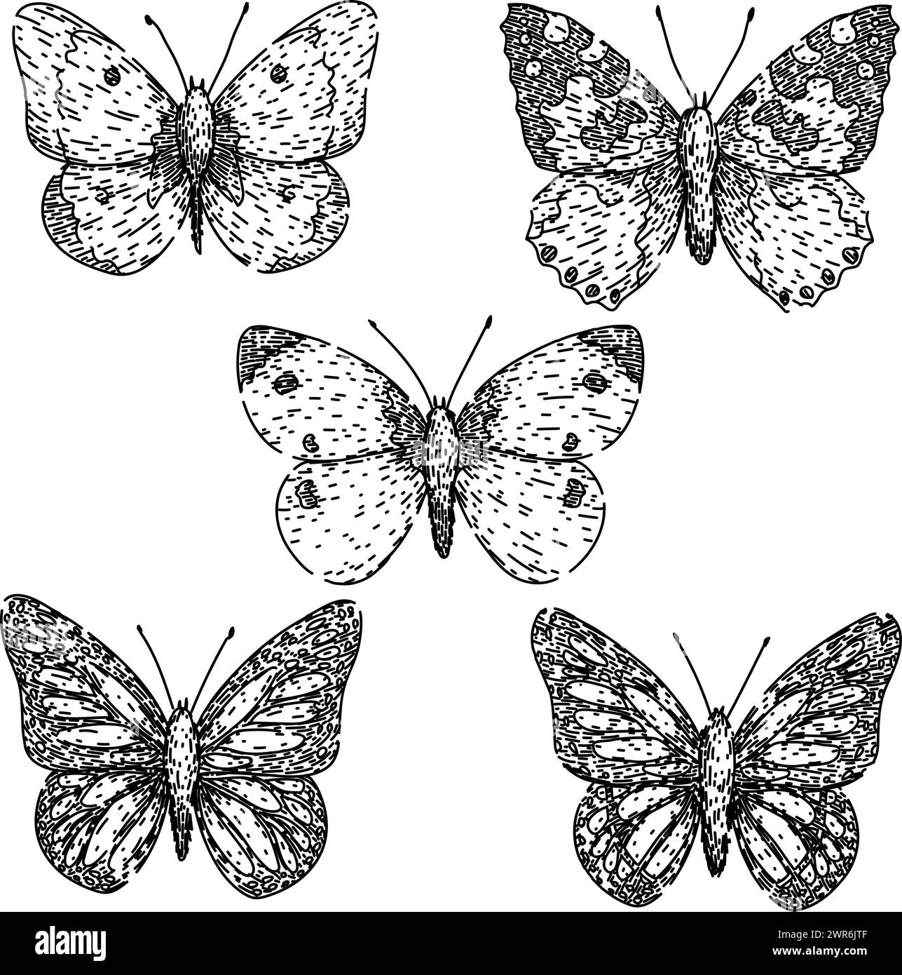 butterfly set sketch hand drawn vector Stock Vector Image & Art - Alamy