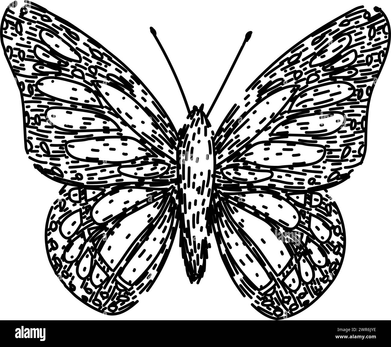 butterfly sketch hand drawn vector Stock Vector Image & Art - Alamy