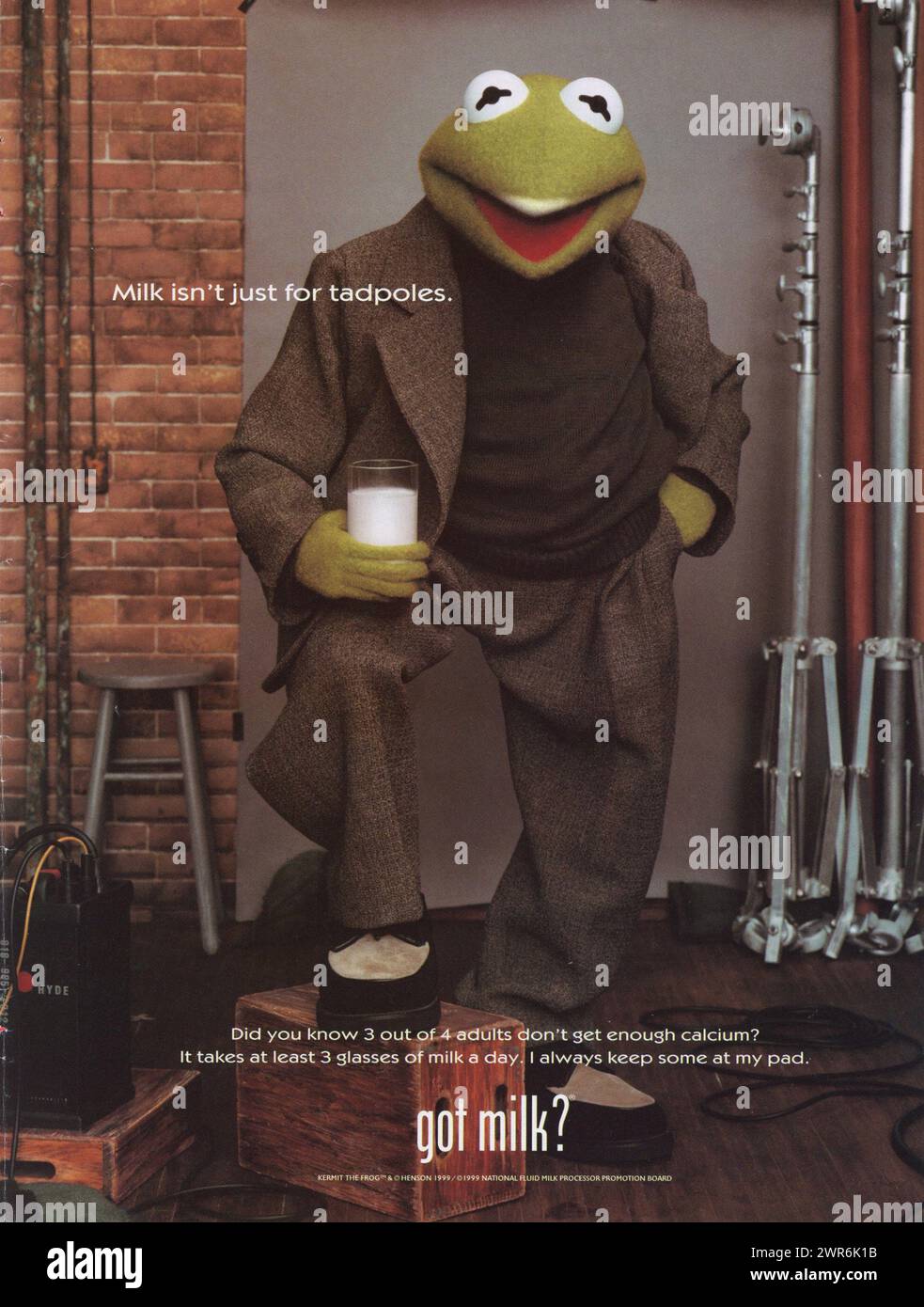 Frog vintage logo hi-res stock photography and images - Alamy