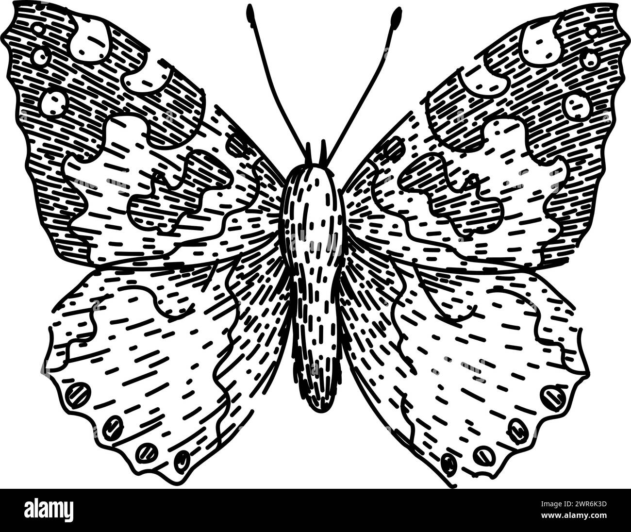 butterfly sketch hand drawn vector Stock Vector Image & Art - Alamy