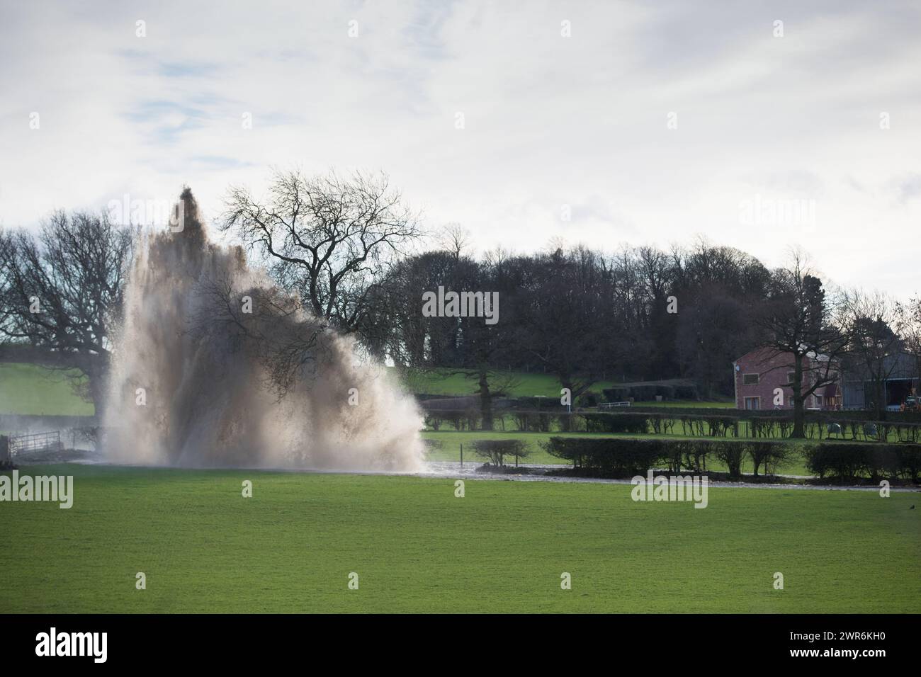 Florisdt hi-res stock photography and images - Alamy