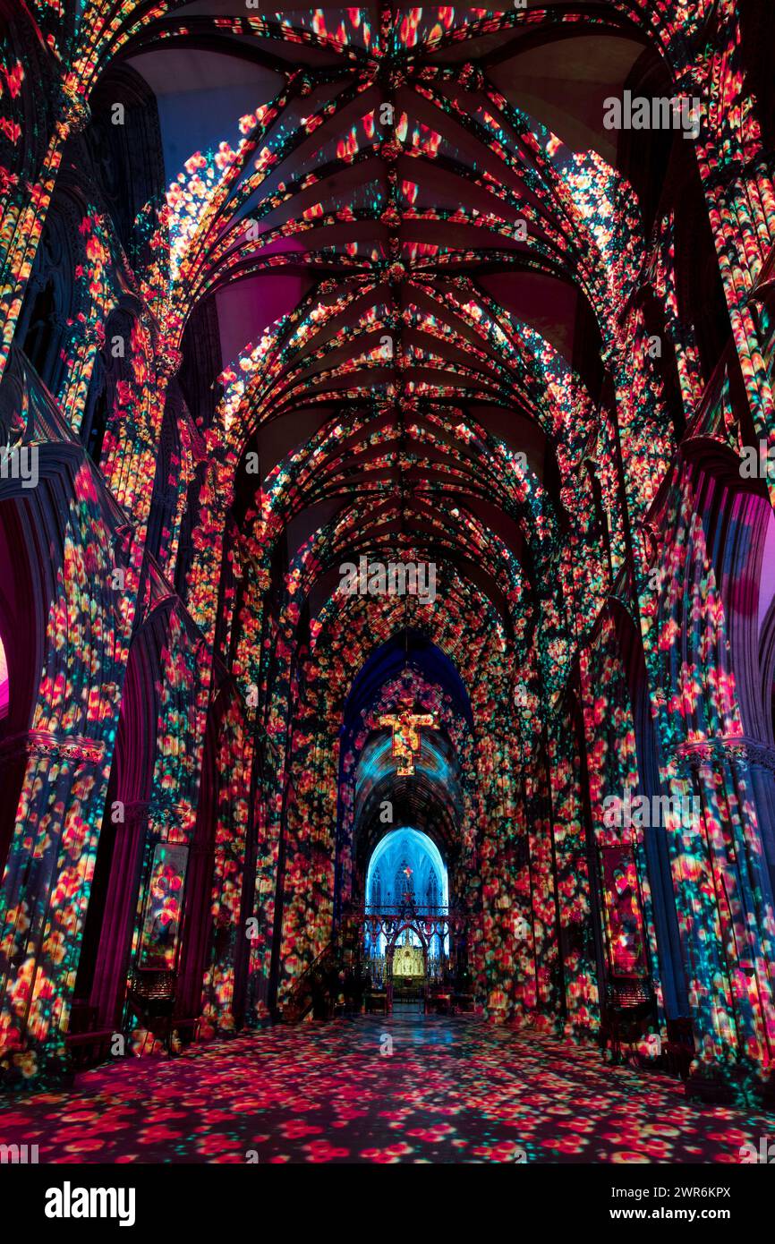 08/11/18 Commission Mcc0086215 Assigned Standing in the nave ...