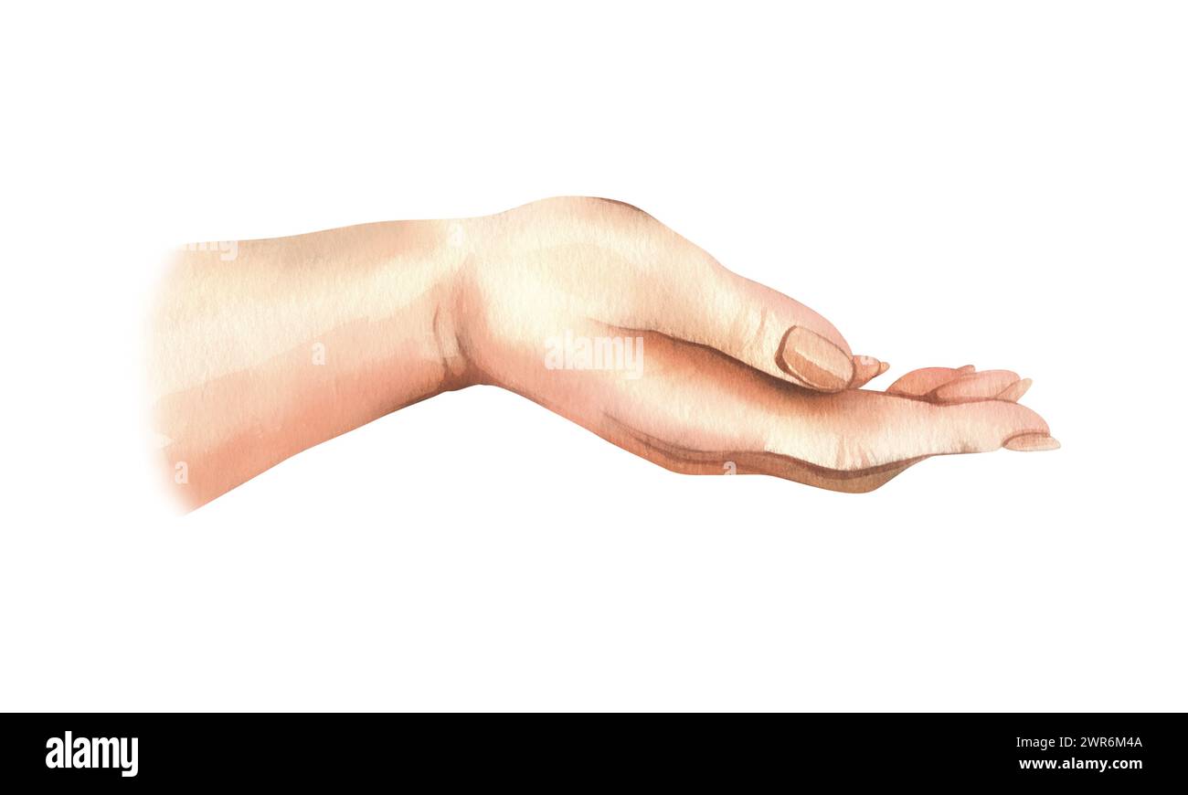Hand of a white woman, palm side view with long nails of neutral ...