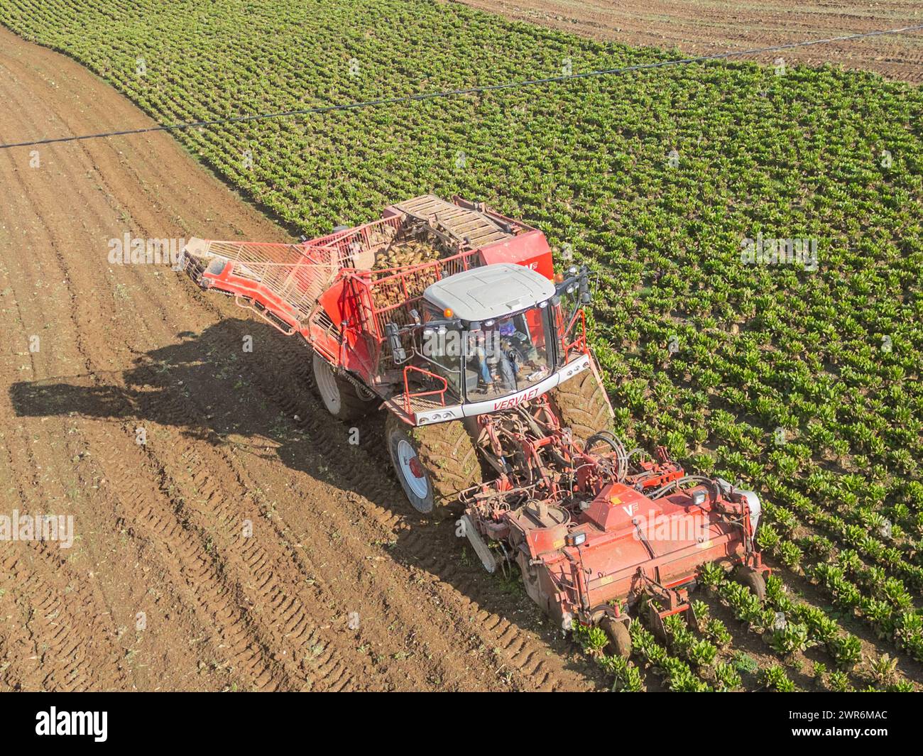 6 row harvester hi-res stock photography and images - Alamy