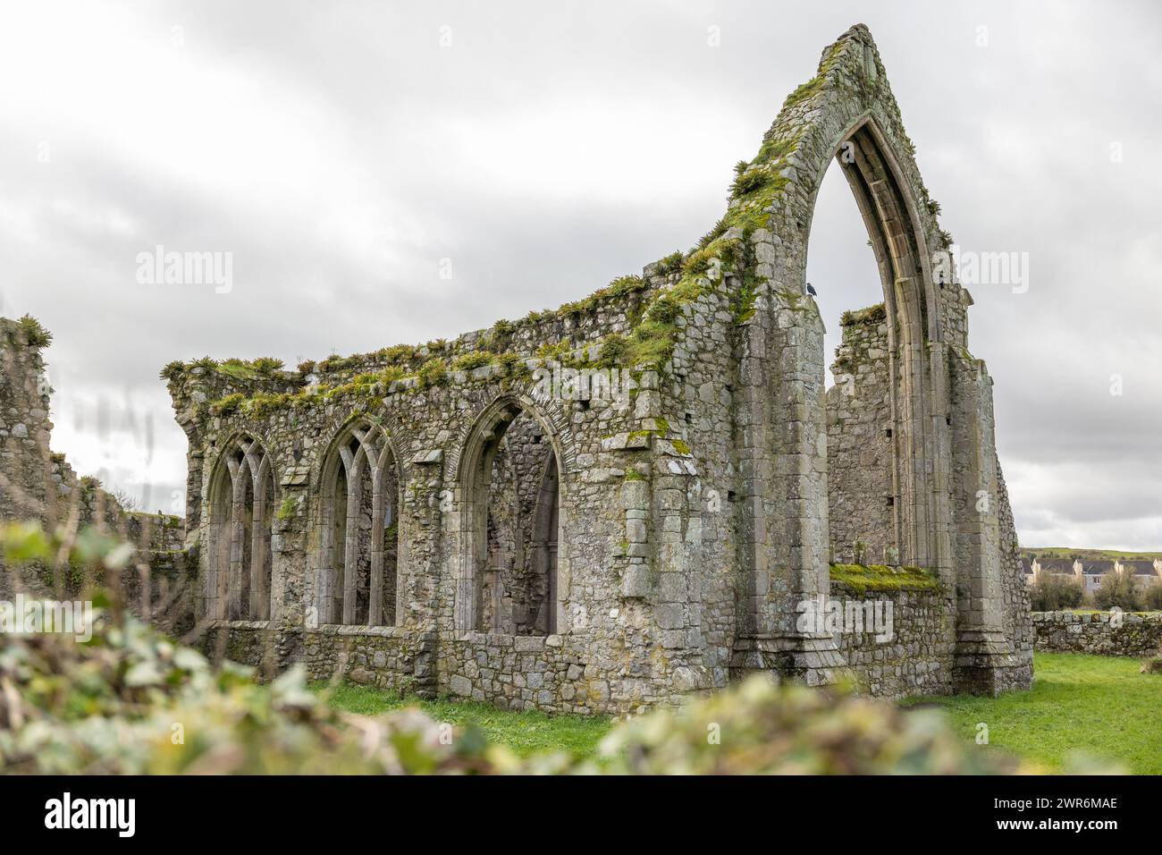 Castledermot Abbey, County Kildare, Ireland Stock Photo - Alamy