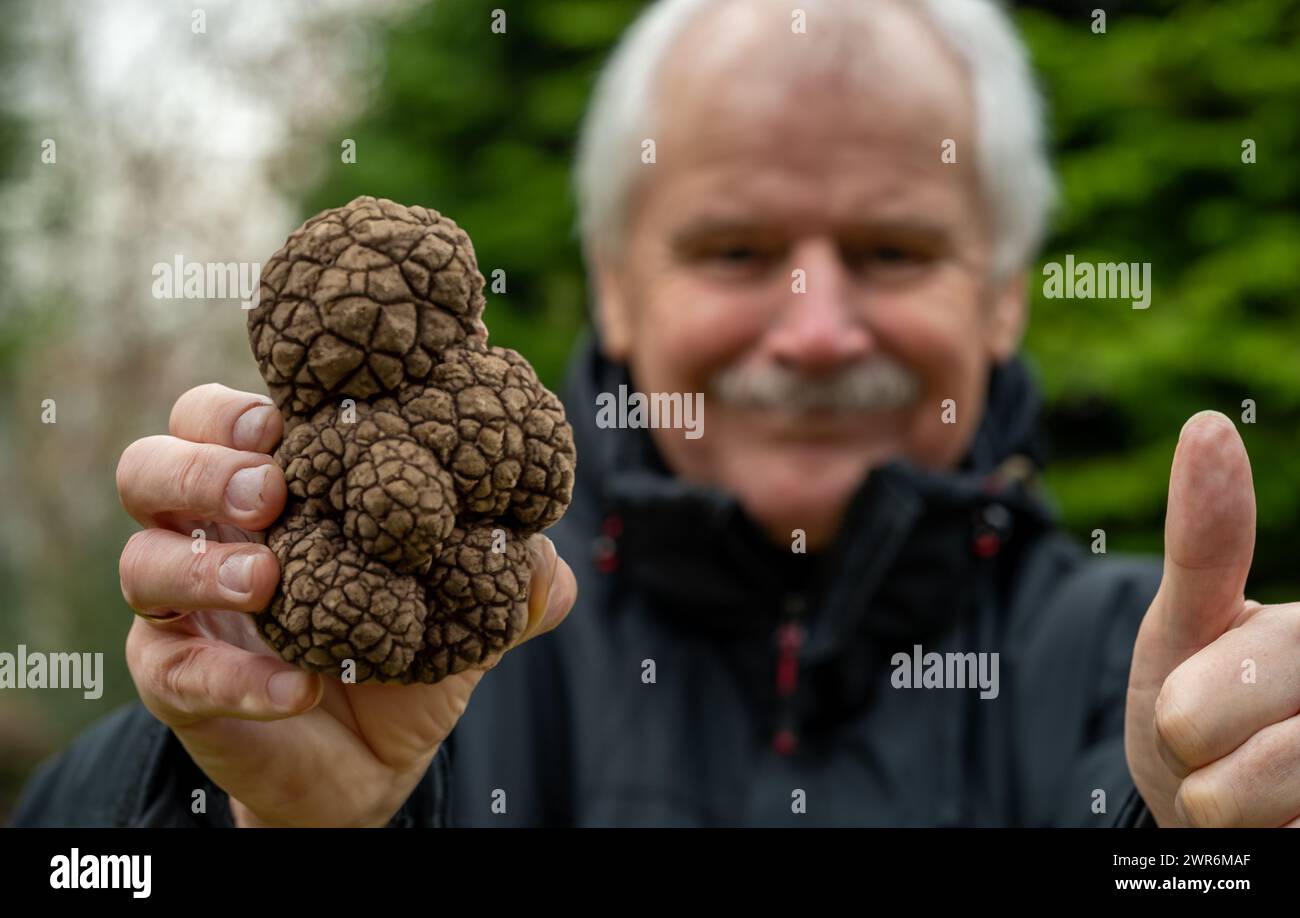 Black truffle food hi-res stock photography and images - Alamy