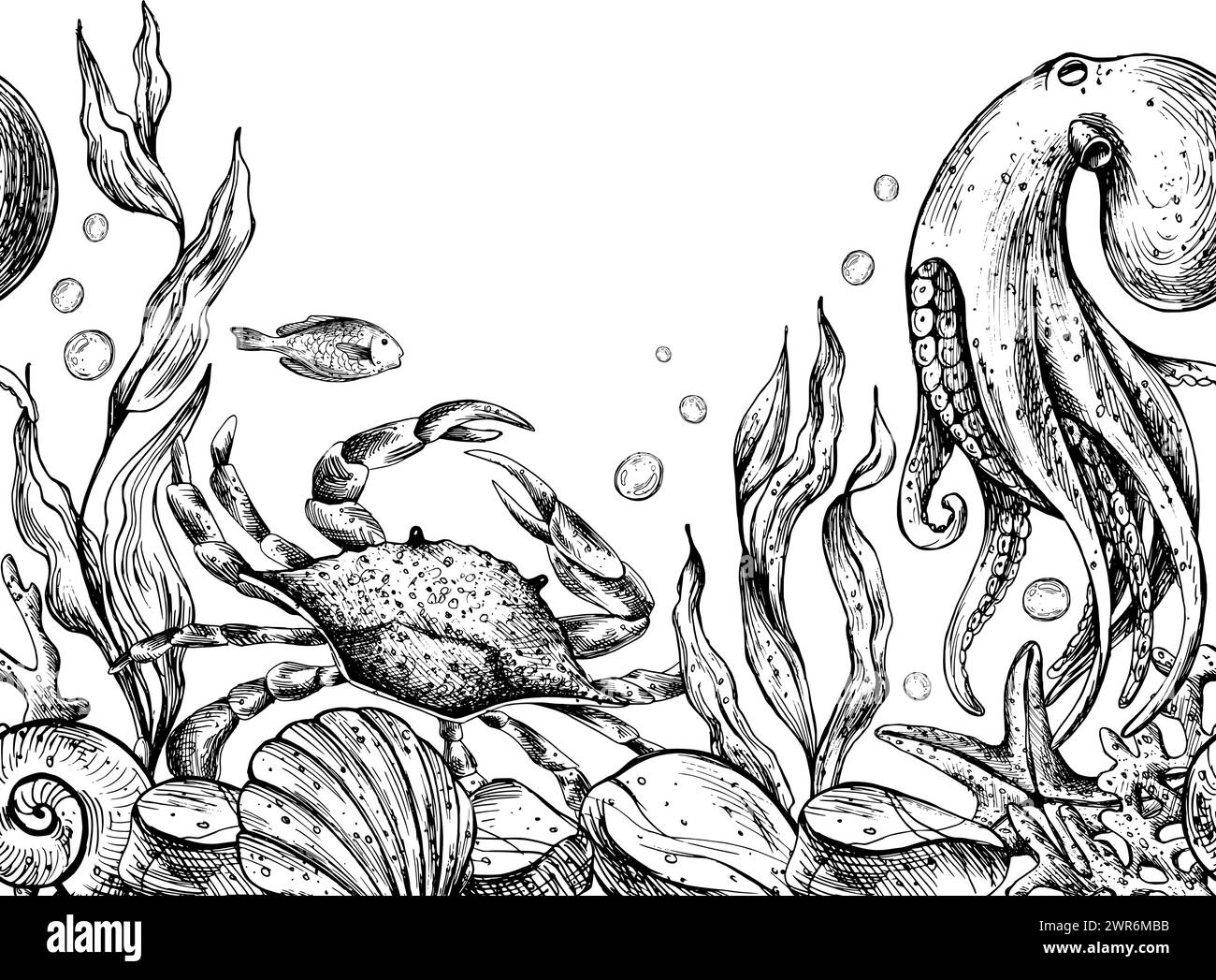 Underwater world clipart with sea animals whale, turtle, octopus ...