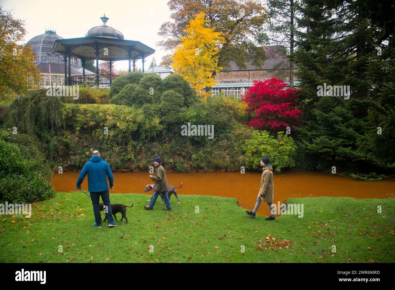 15/10/18 Complimenting the stunning autumnal colours in Pavilion ...