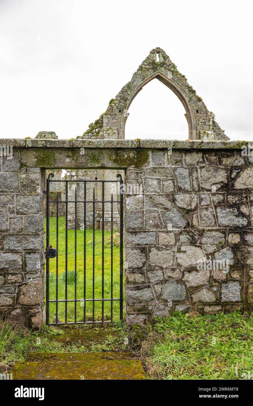 Castledermot Abbey, County Kildare, Ireland Stock Photo - Alamy
