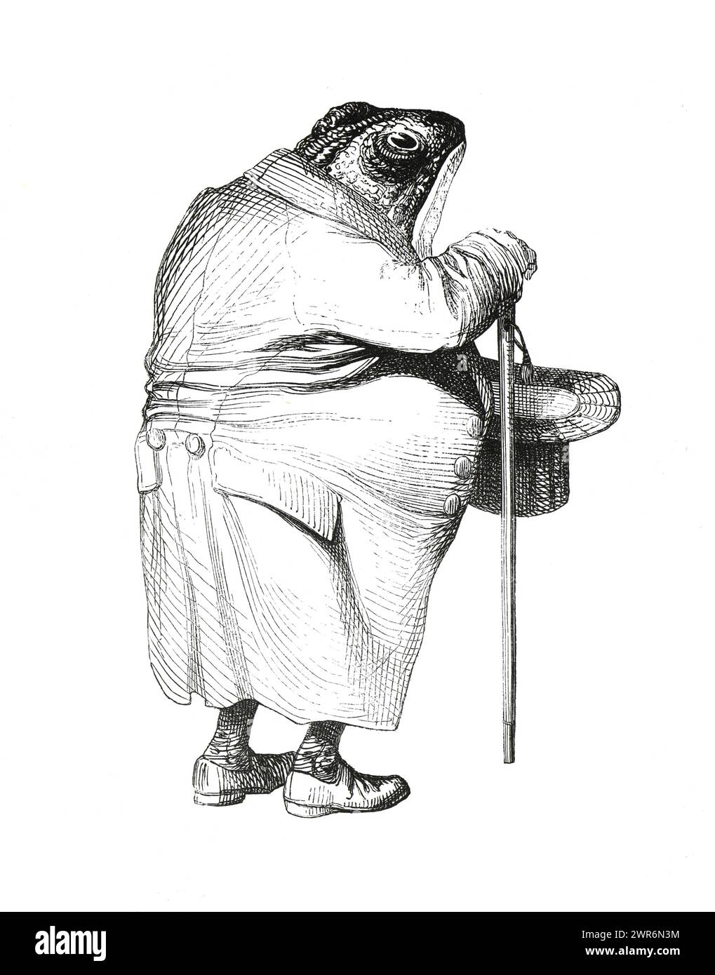 Anthropomorphic animals. humanized frog or toad. cyborg animals. CRISPR ...