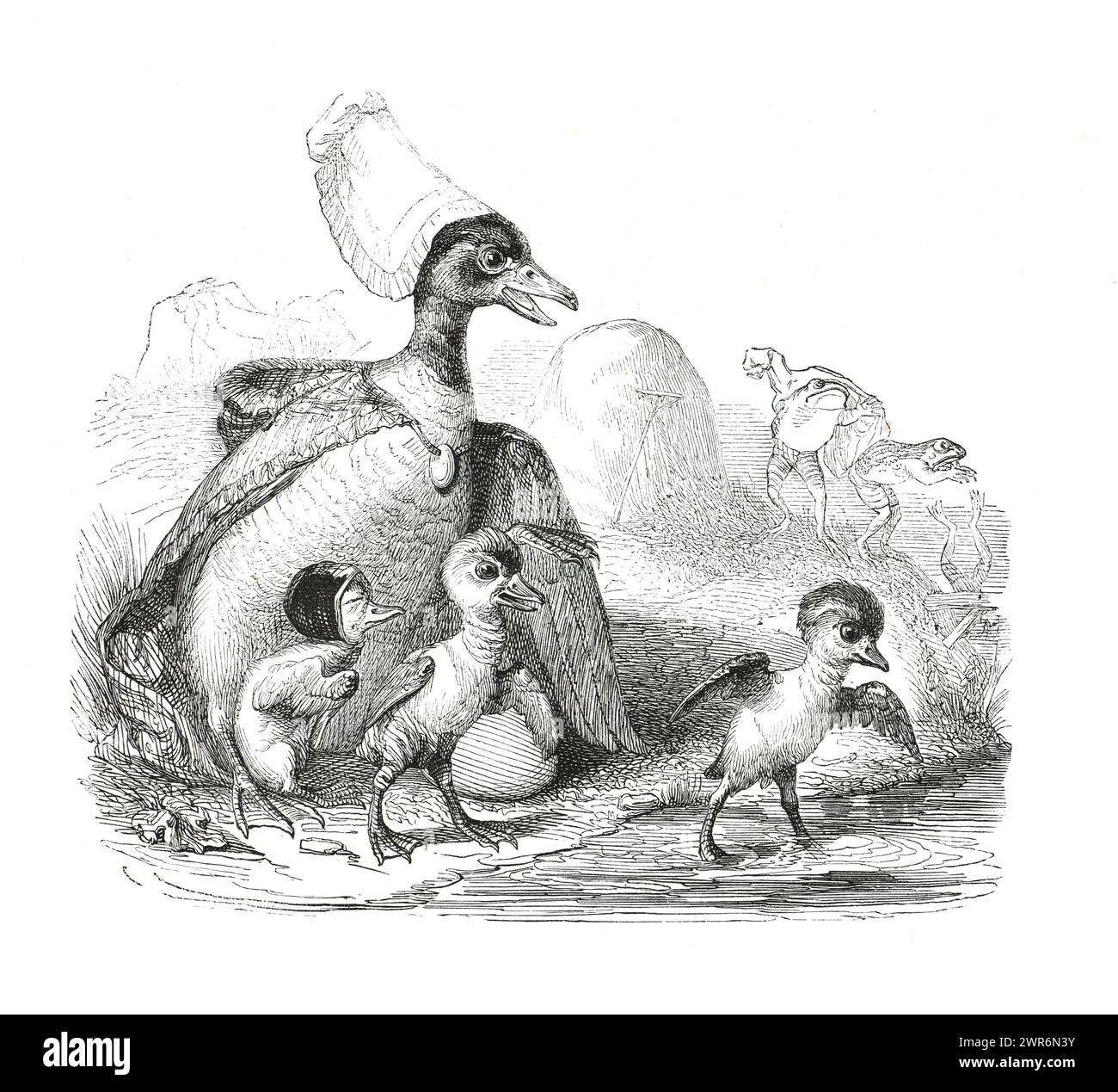 Anthropomorphic animals. humanized ducks. going for a swim. cyborg ...