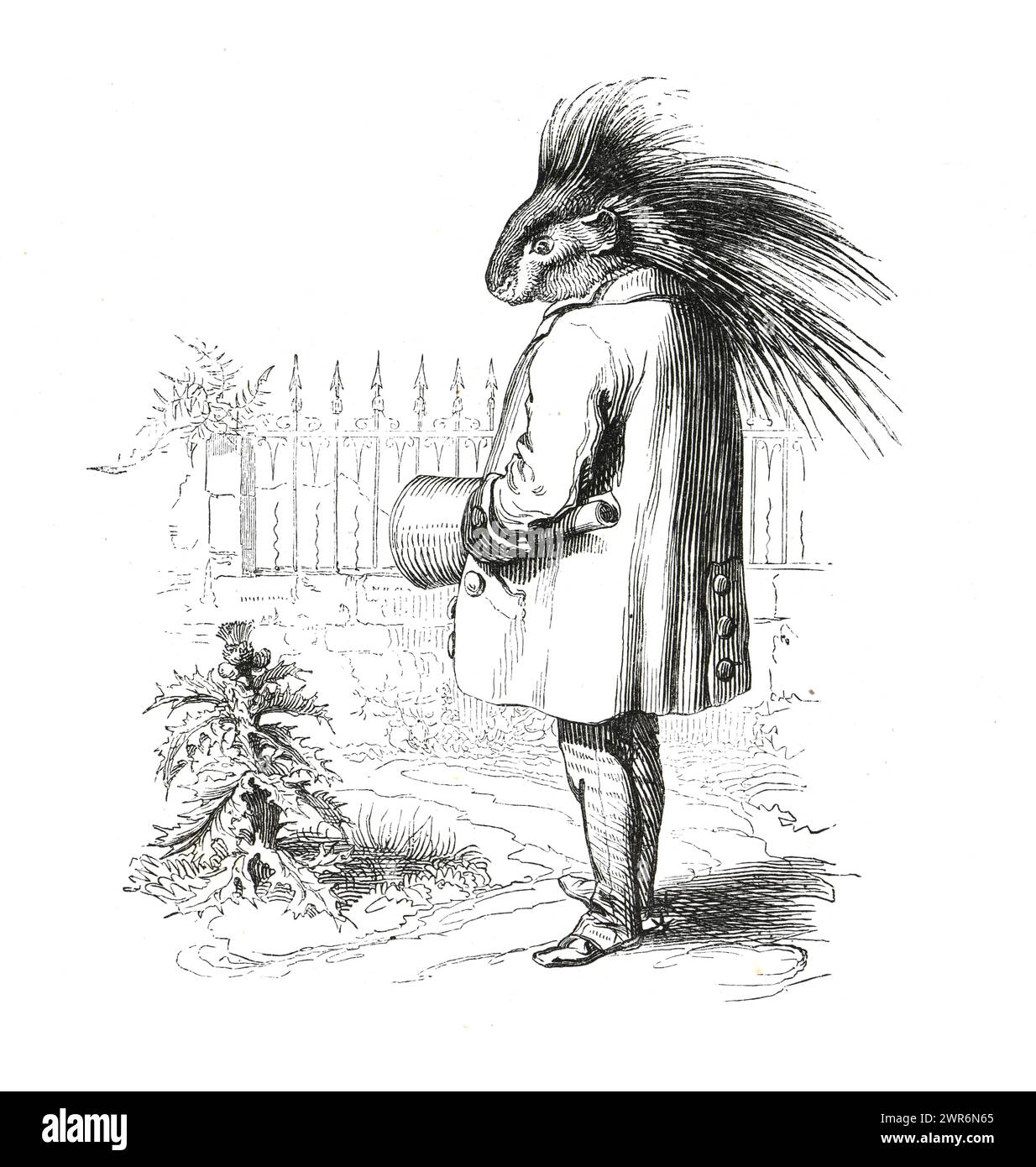 Hedgehog suit Cut Out Stock Images & Pictures - Alamy