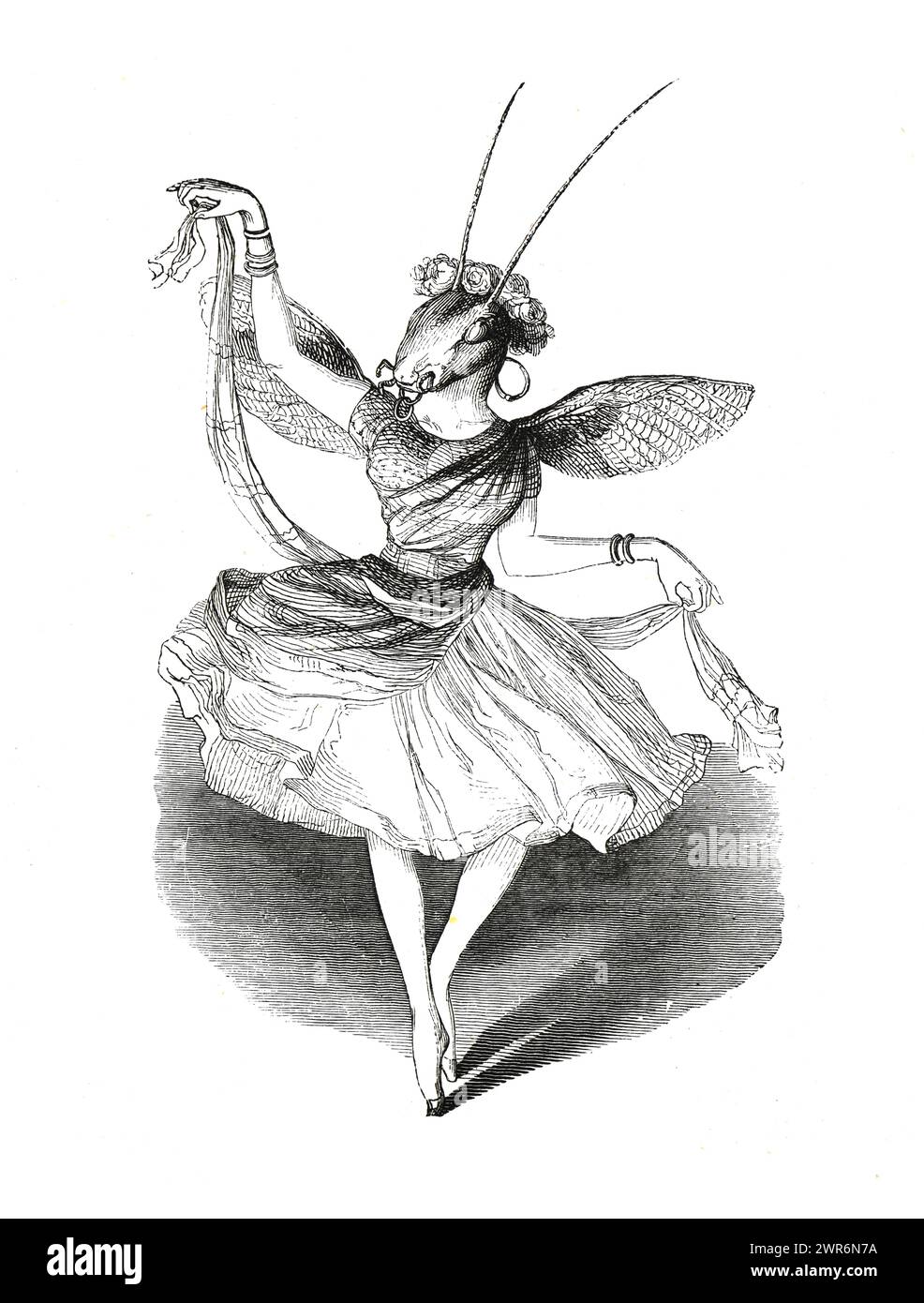 Anthropomorphic animals. humanized dancing grasshopper. ballerina ...