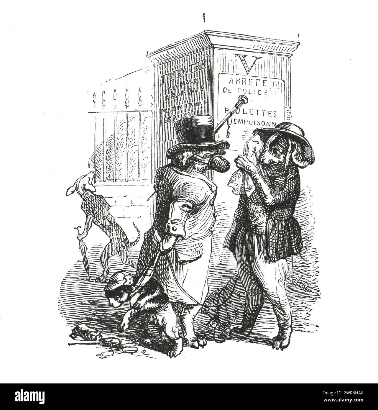 Anthropomorphic animals. humanized dogs.dogs walk their cats. cyborg ...