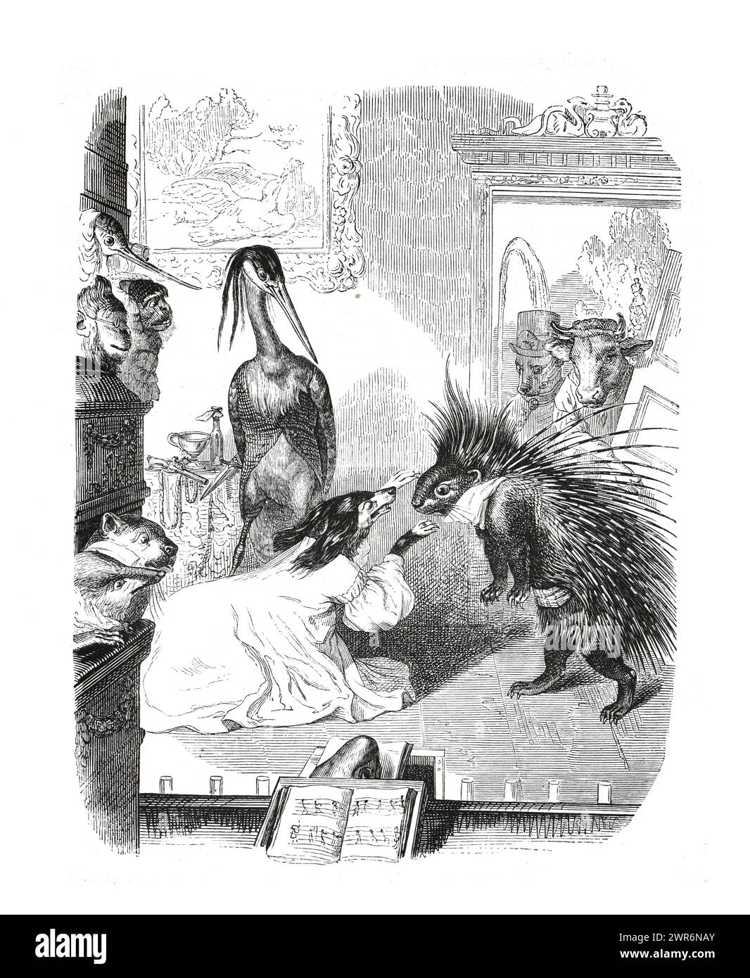 Anthropomorphic animals. humanized dog kneels for a porcupine. animals ...