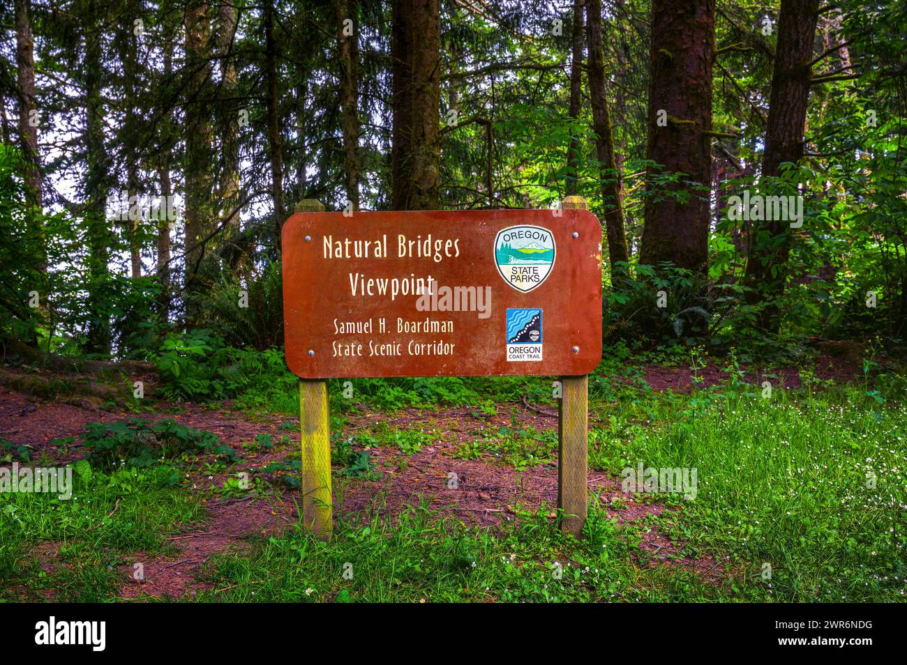 Natural Bridges Viewpoint in the Samuel H. Boardman State Scenic ...