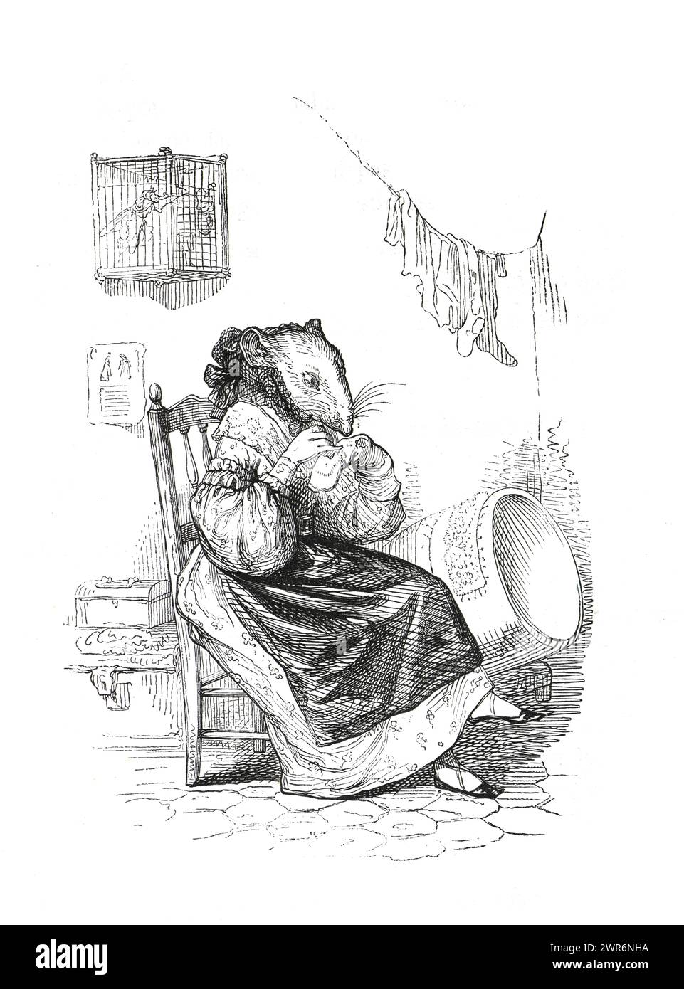 Humanized mouse hi-res stock photography and images - Alamy