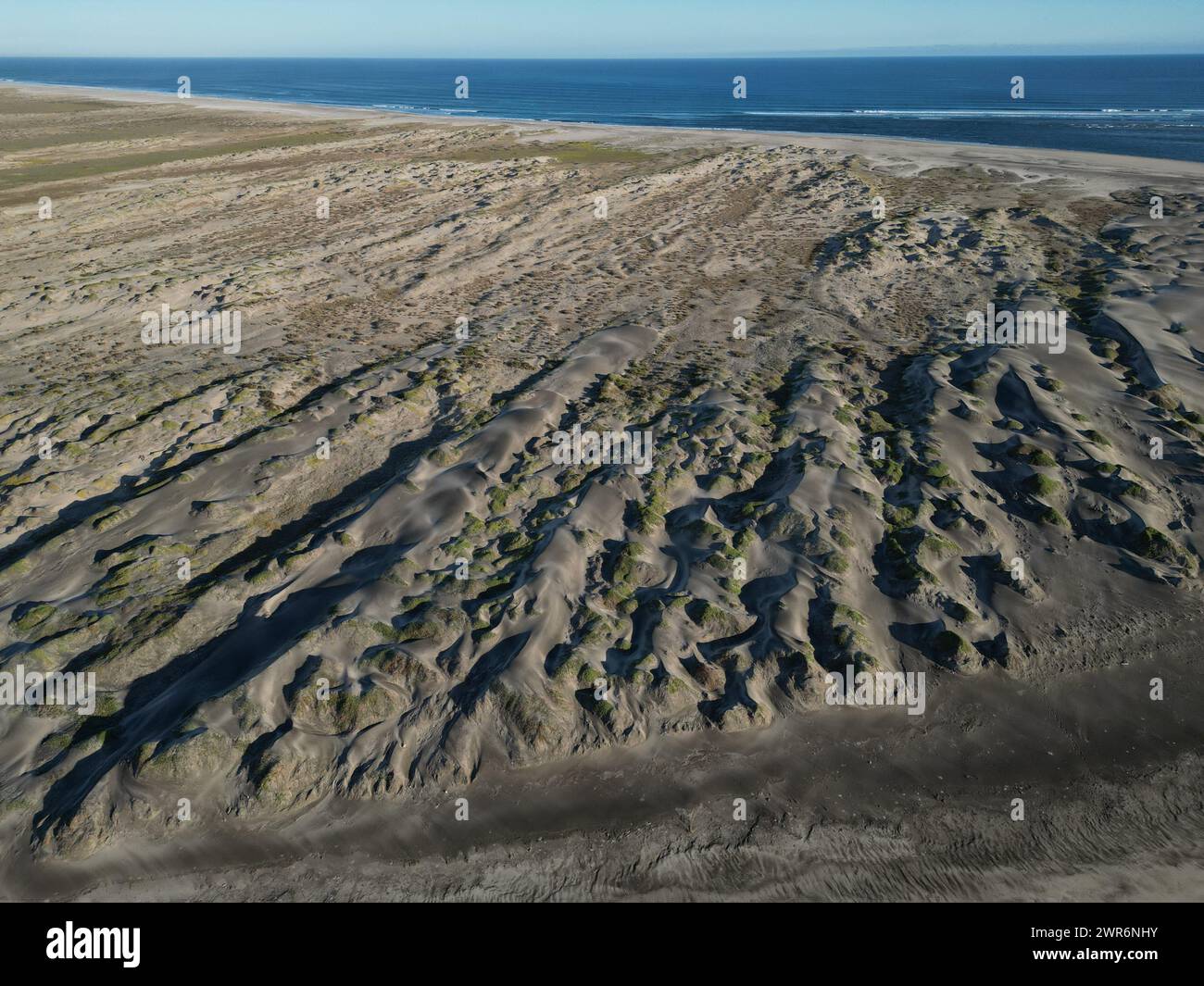 sand dunes desert by the pacific ocean in Puerto chale magdalena bay ...