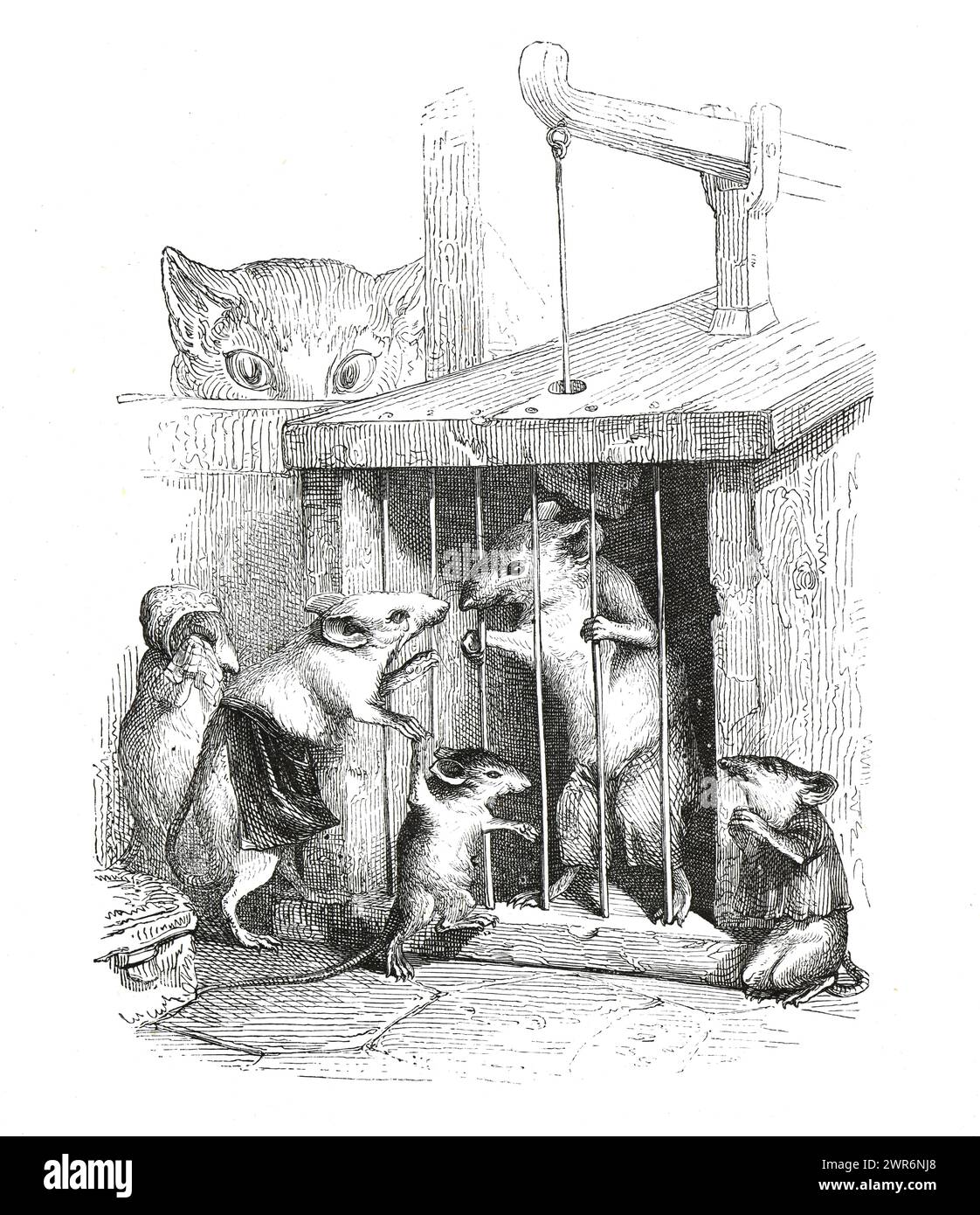 Humanized mouse hi-res stock photography and images - Alamy