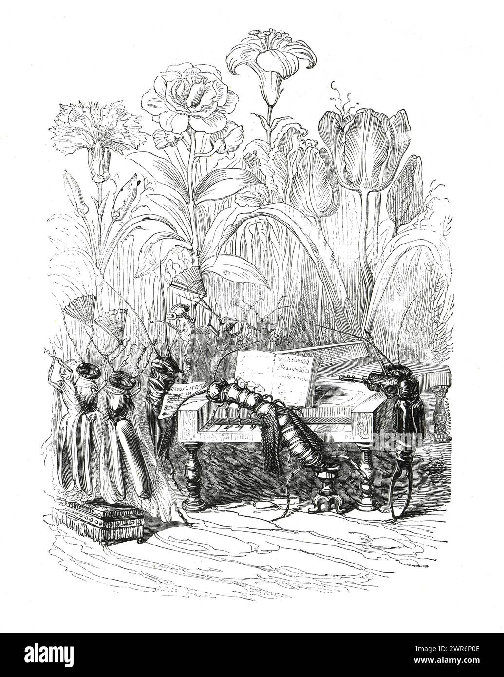 Anthropomorphic animals. humanized cricket or grasshopper making music ...