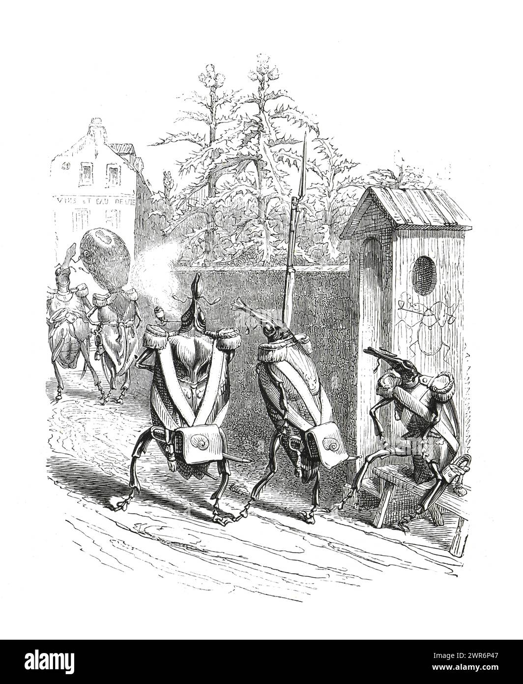 Anthropomorphic animals. humanized insects. insects as soldiers. cyborg ...