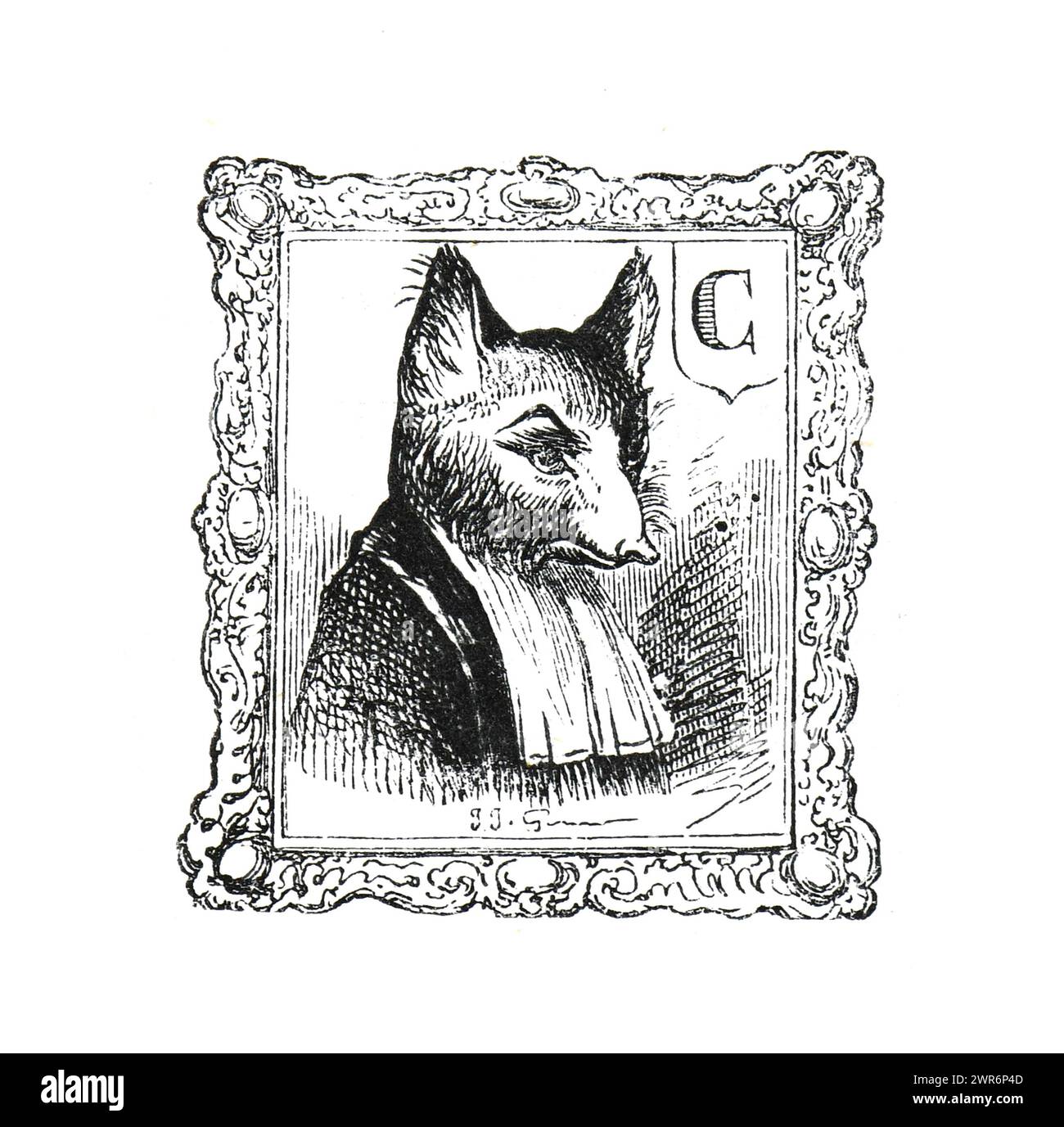 Anthropomorphic animals. humanized fox. portrait of a fox. fox as a ...