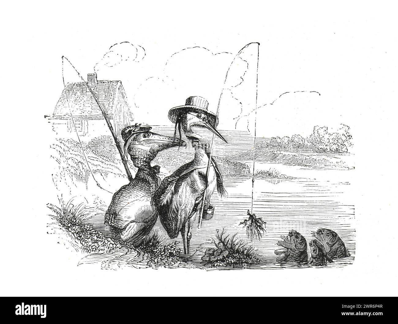 Anthropomorphic animals. humanized birds. birds fishing with ...