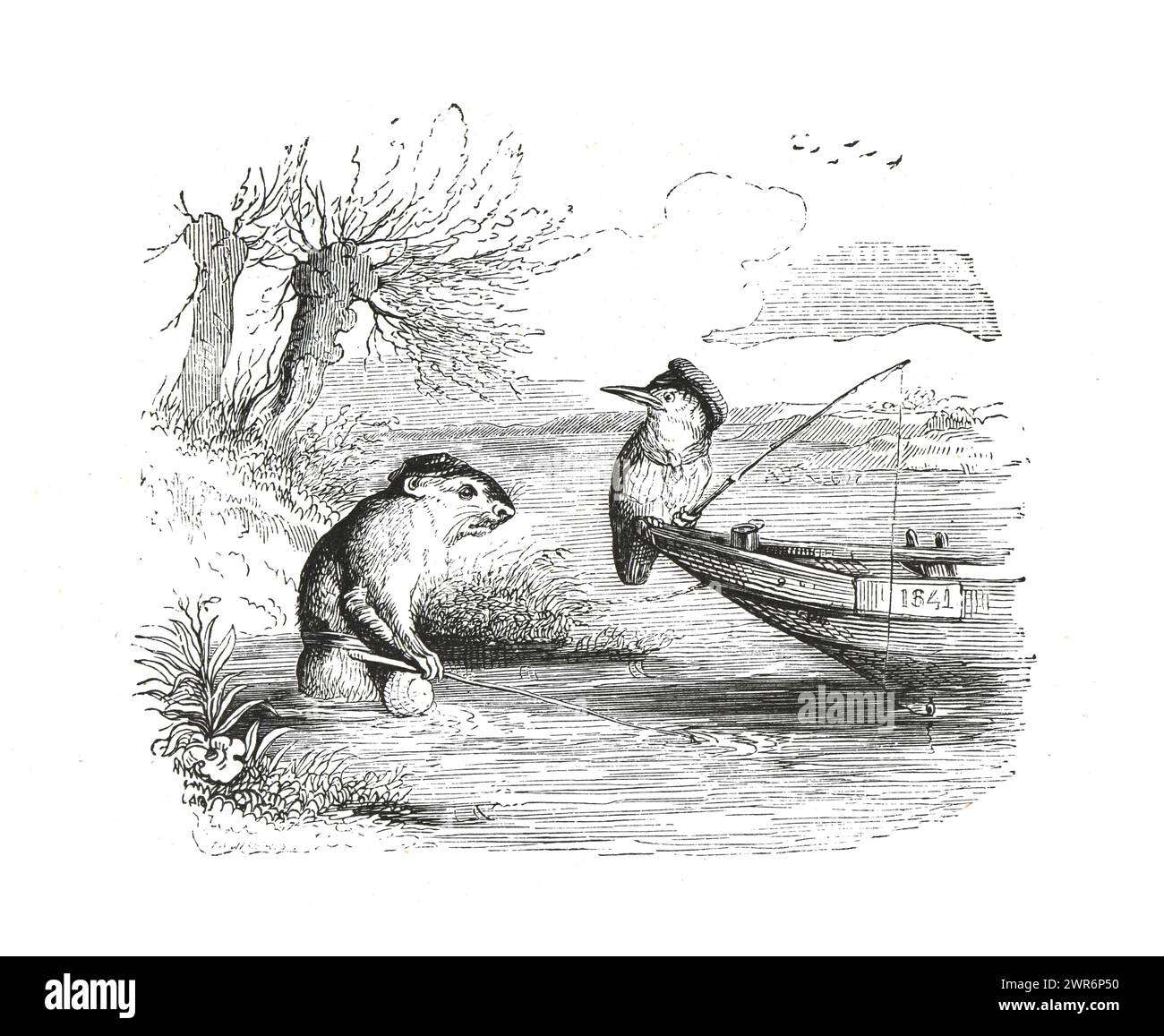 Anthropomorphic animals. humanized marmot and kingfishier. fishing and ...