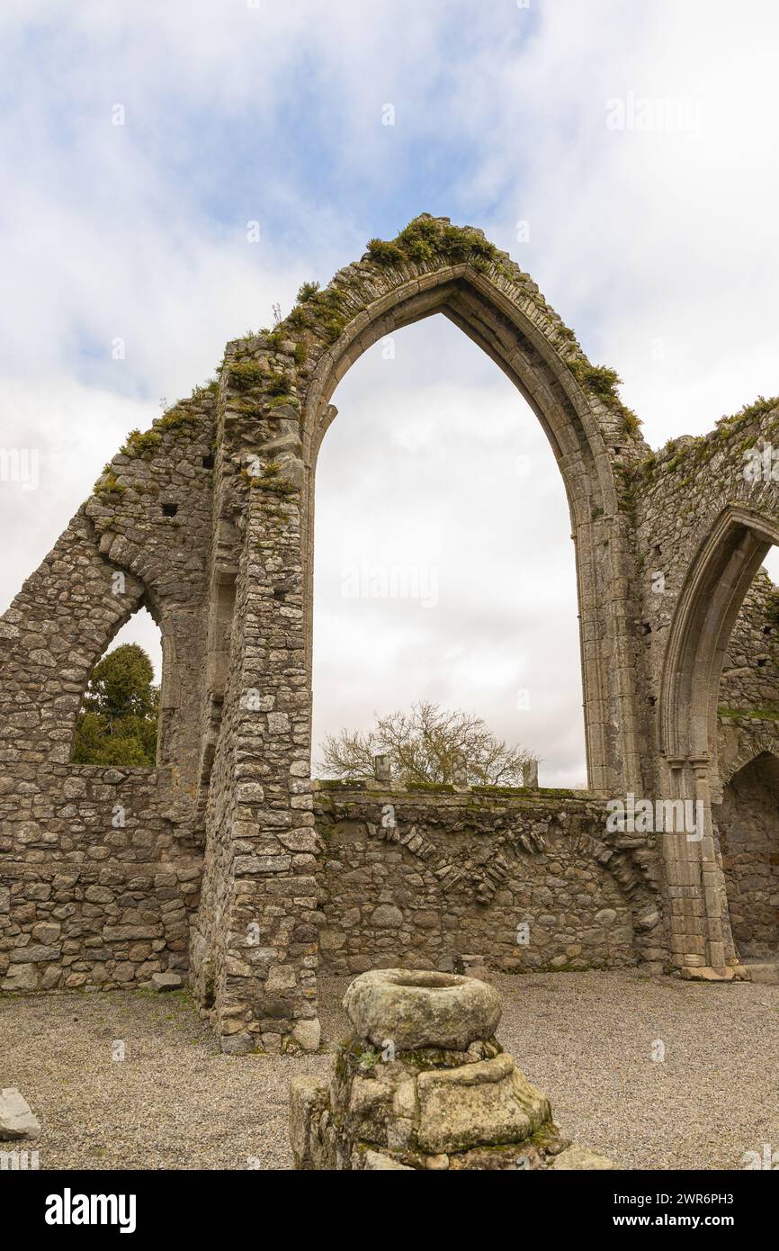 Castledermot abbey hi-res stock photography and images - Alamy