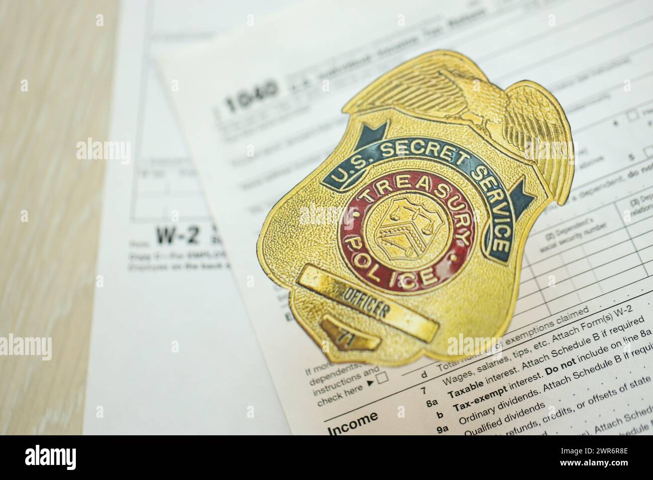 Treasury Secret Service Badge