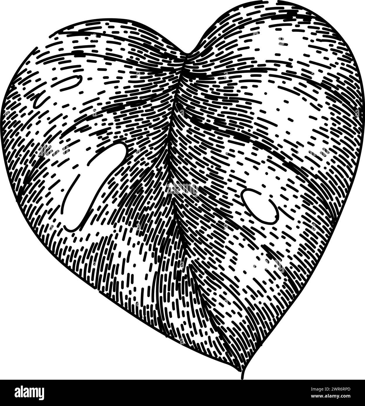 Philodendron tropical leaf line Cut Out Stock Images & Pictures - Alamy