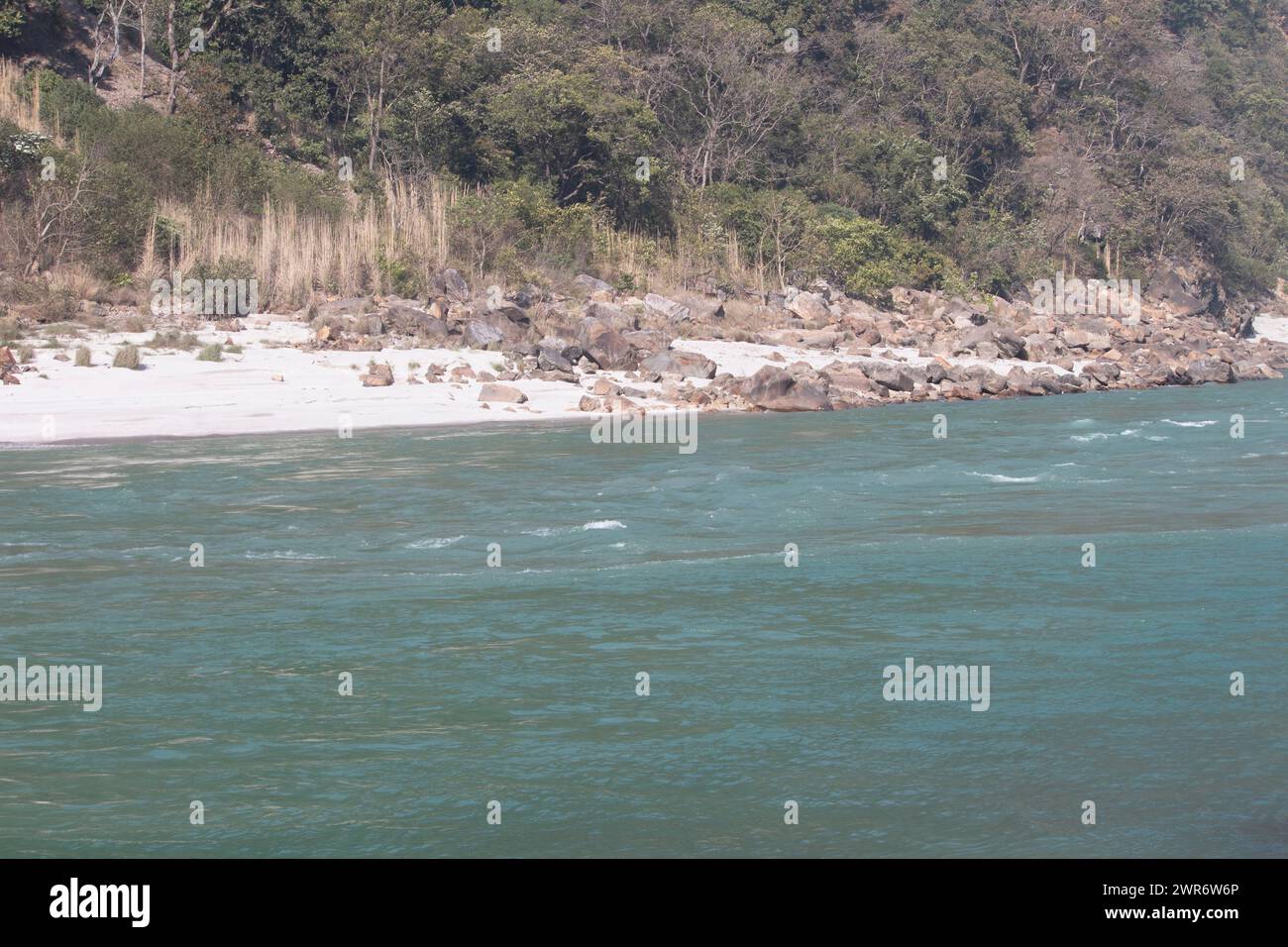 Ganges serenity, White sands, ancient rocks, and a forest embrace along ...