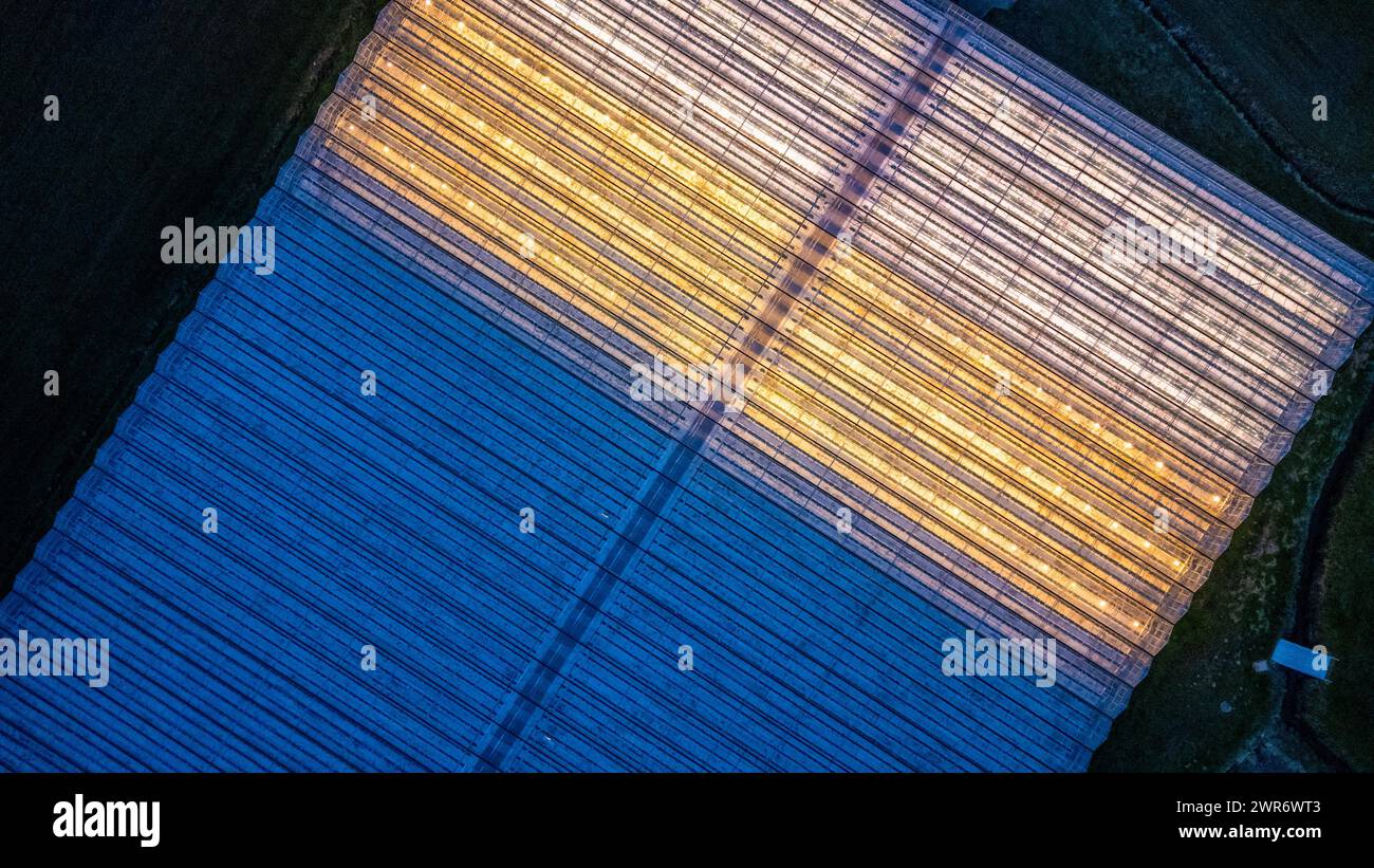 This aerial image captures the geometric beauty of greenhouse rows ...