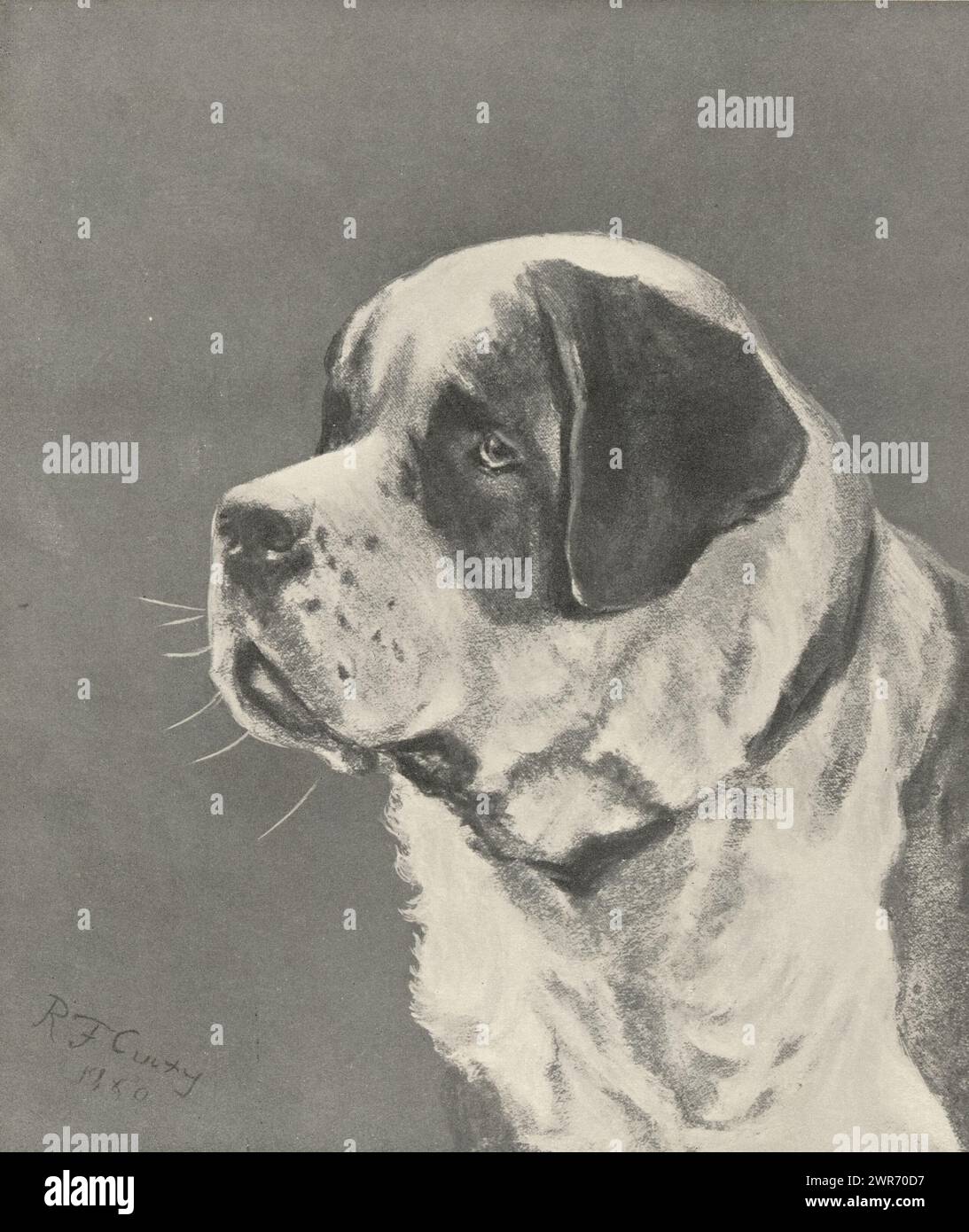 Painting dog hi-res stock photography and images - Alamy