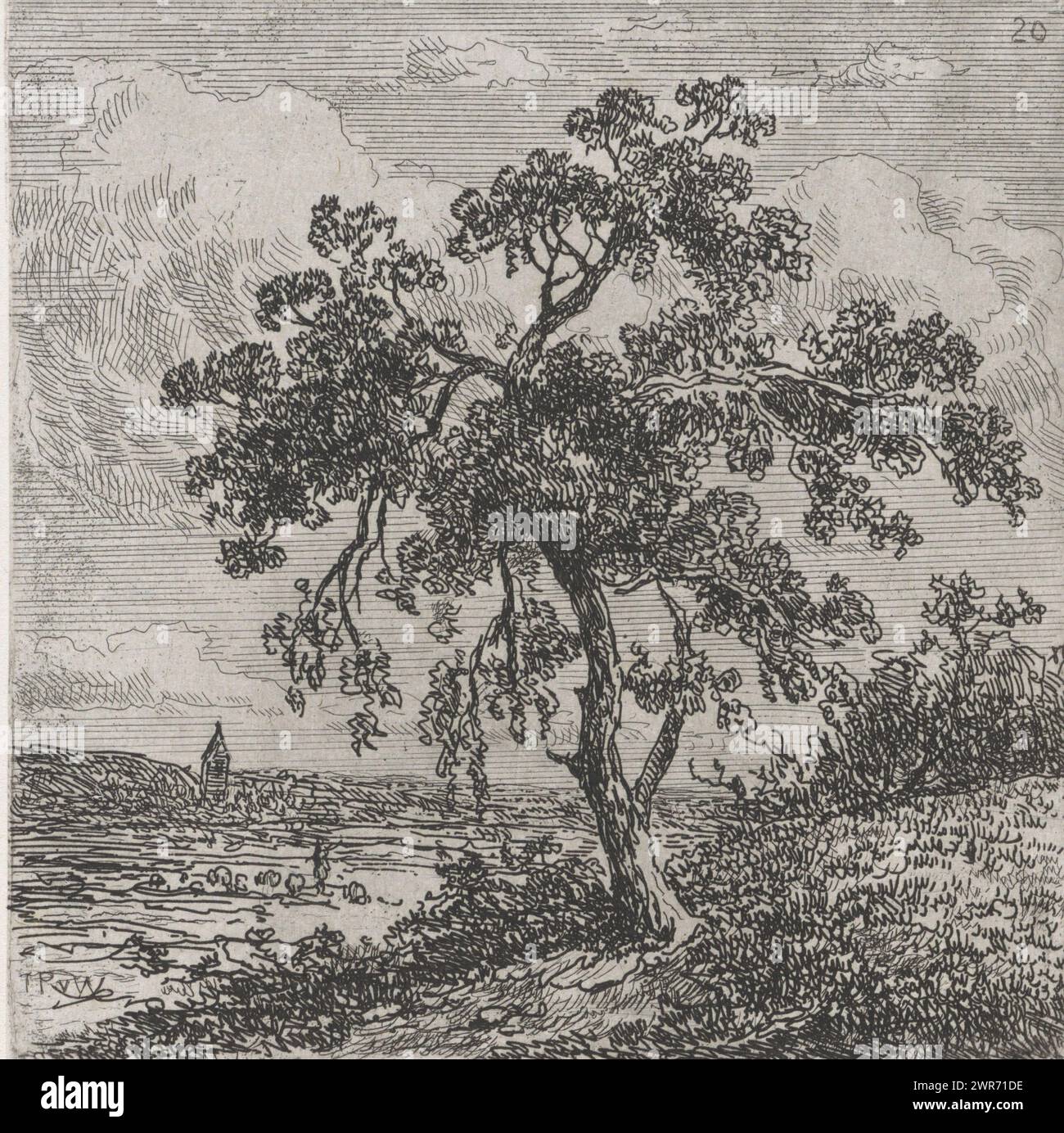 Landscape with a large tree, In the middle there is a large tree. On ...