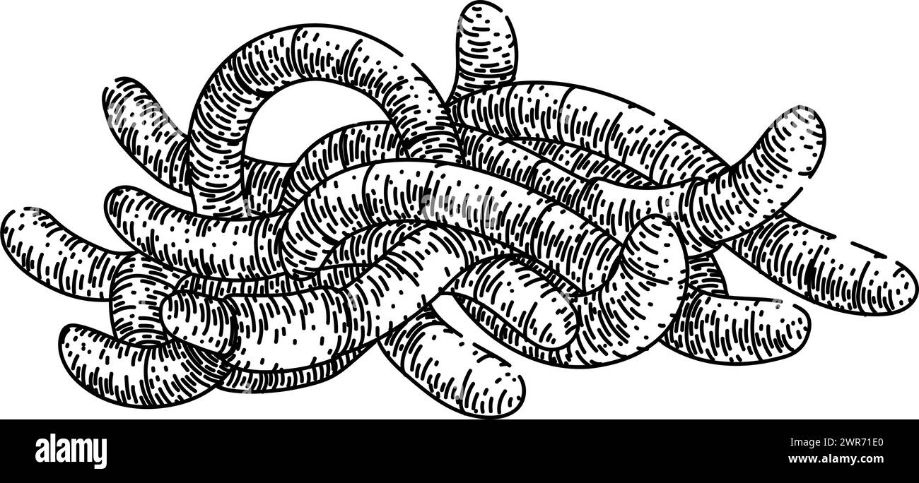 Soil ecology worm Black and White Stock Photos & Images - Alamy