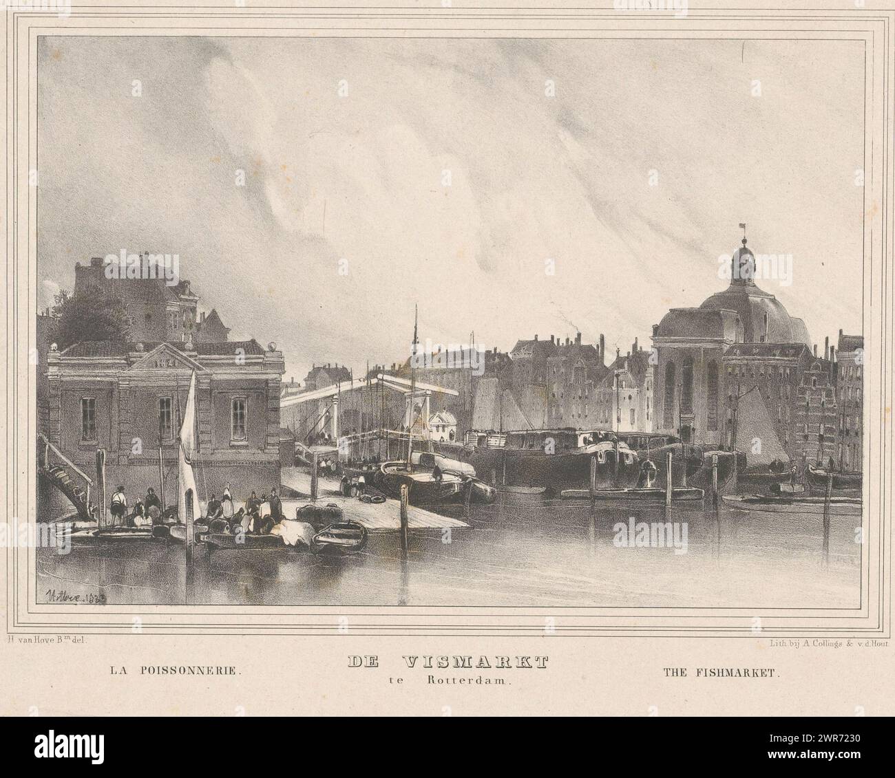 View of the fish market in Rotterdam, The fish market in Rotterdam / La ...