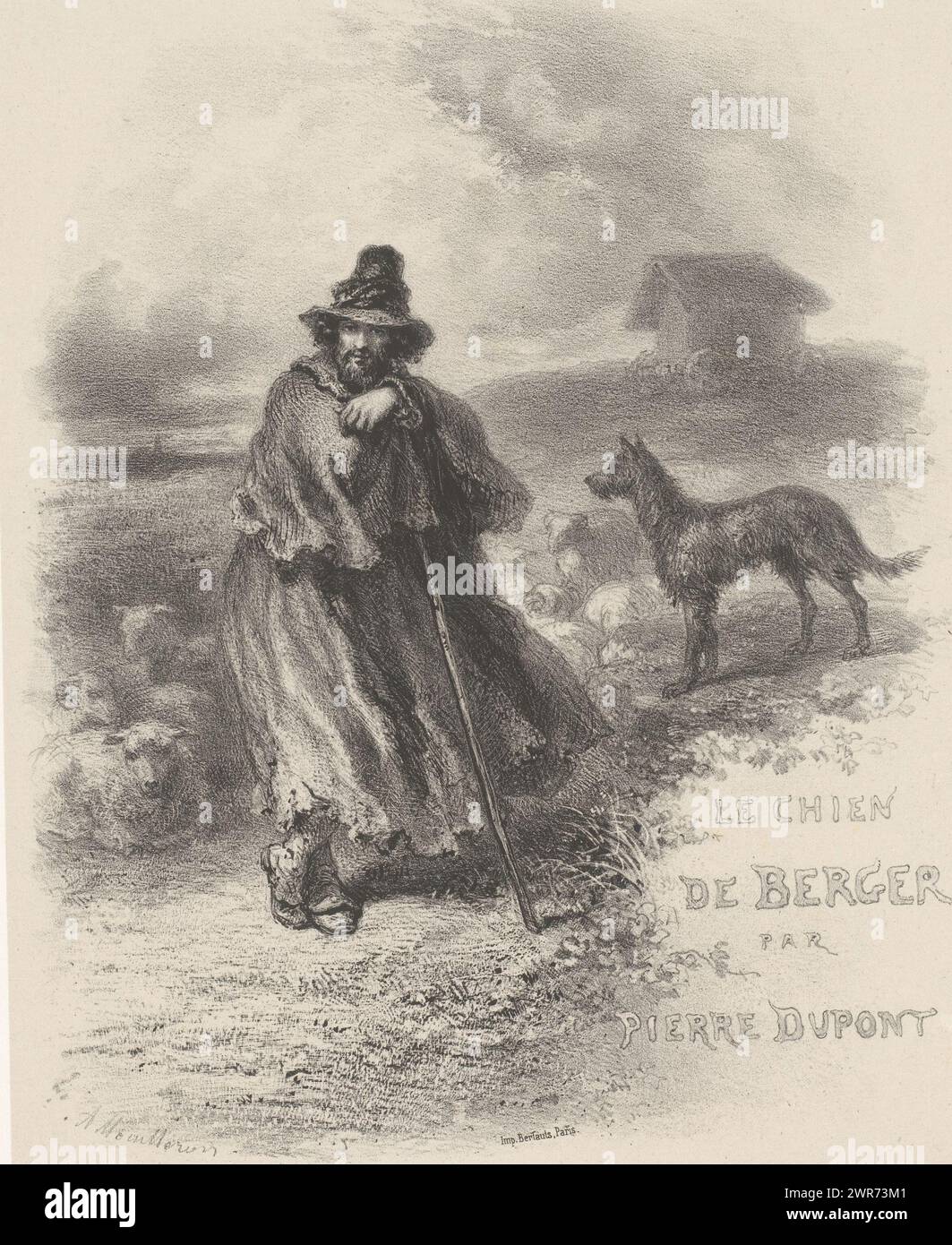 Berger le chien hi-res stock photography and images - Alamy