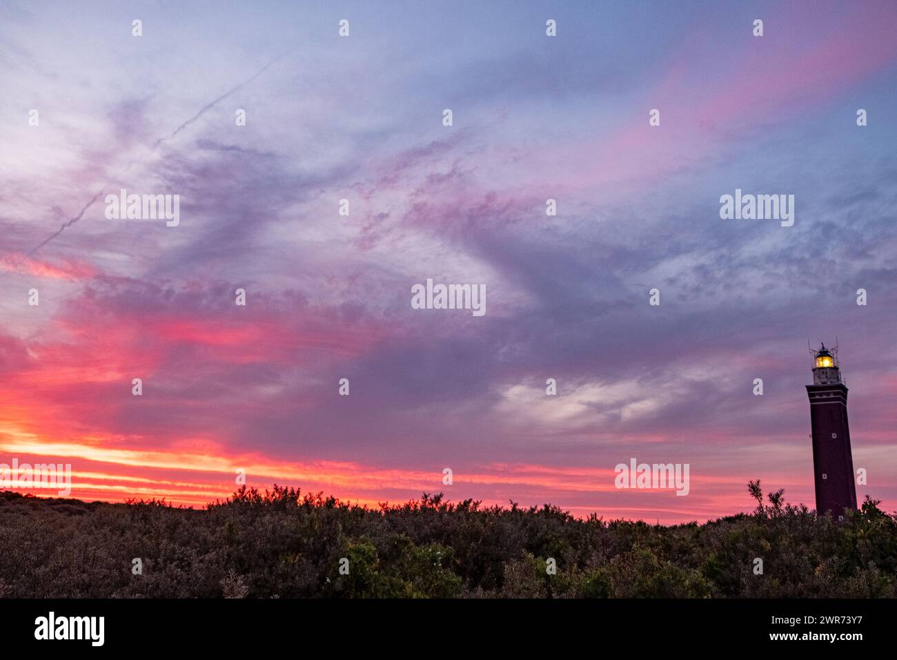 Highlighted in shades of pink hi-res stock photography and images - Alamy