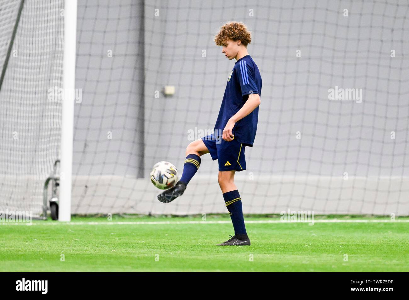 Ibrahimovic 2008 hi-res stock photography and images - Alamy