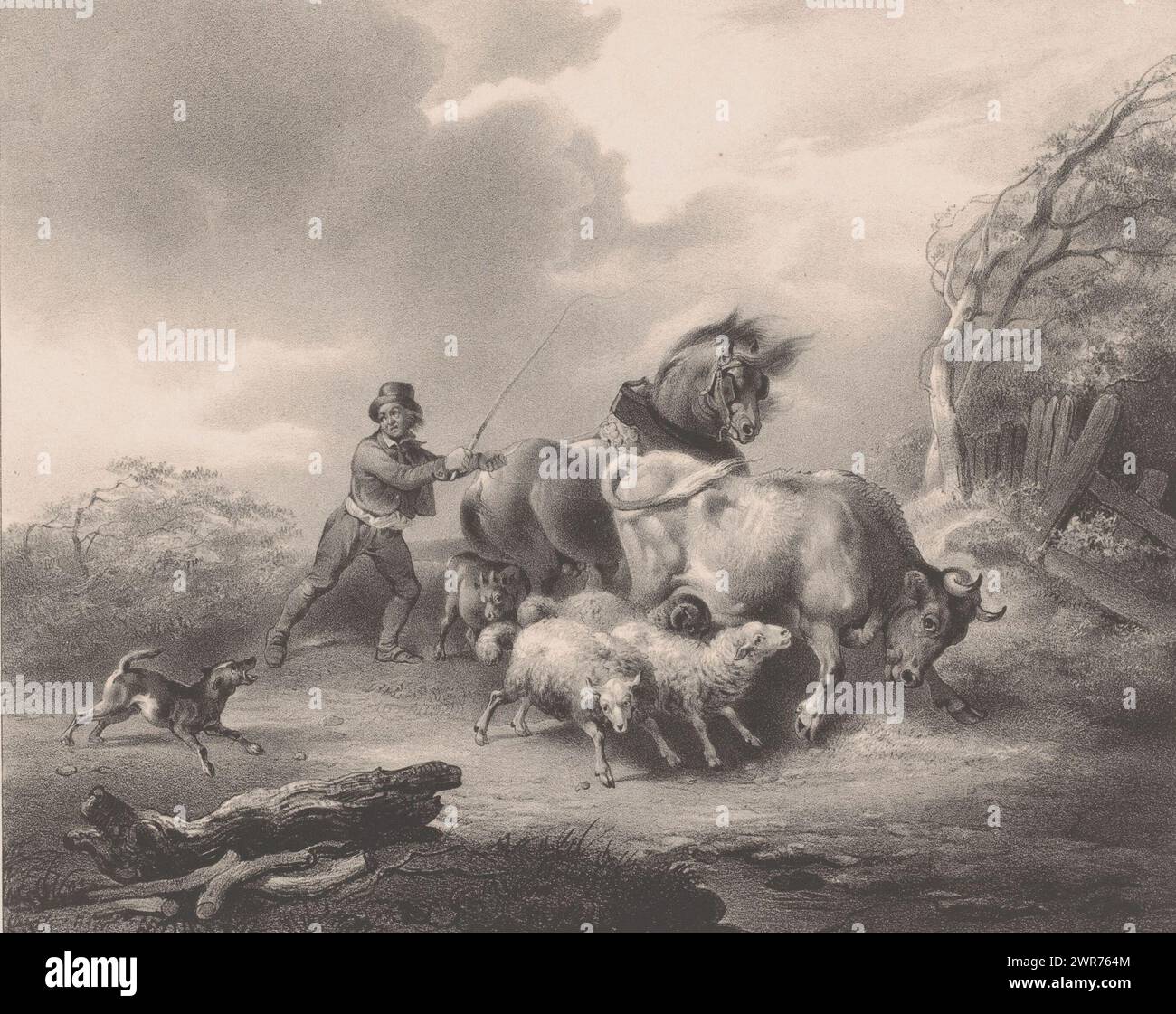 Farmer with his animals fleeing a hurricane, The hurricane (title on ...