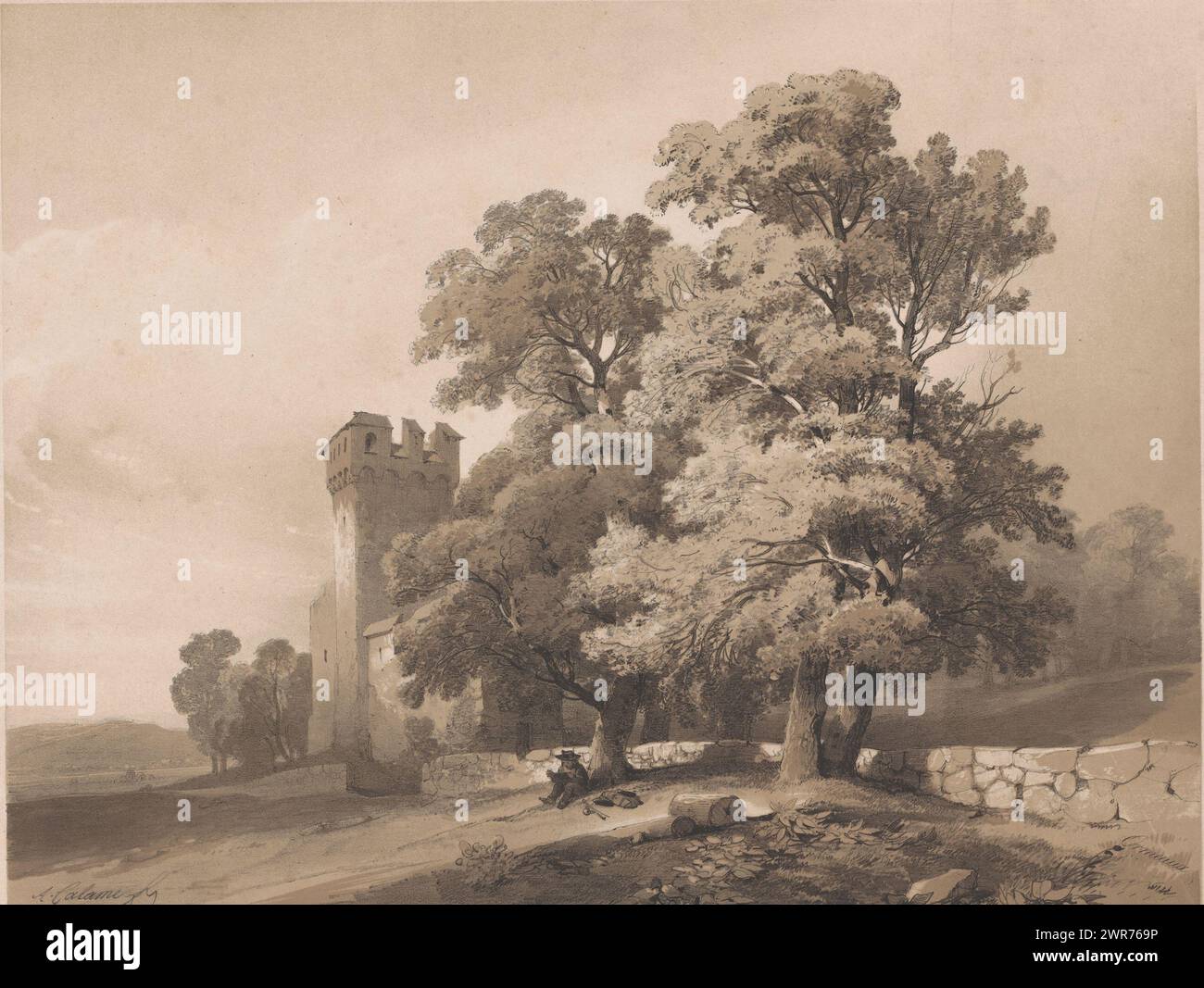 Traveler under elm trees hi-res stock photography and images - Alamy