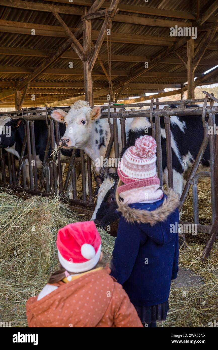 Family kuipers hi-res stock photography and images - Alamy